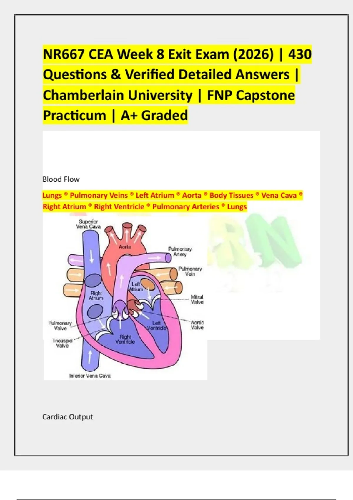 NR667 CEA Week 8 Exit Exam (2026) | 430 Questions & Verified Detailed ...