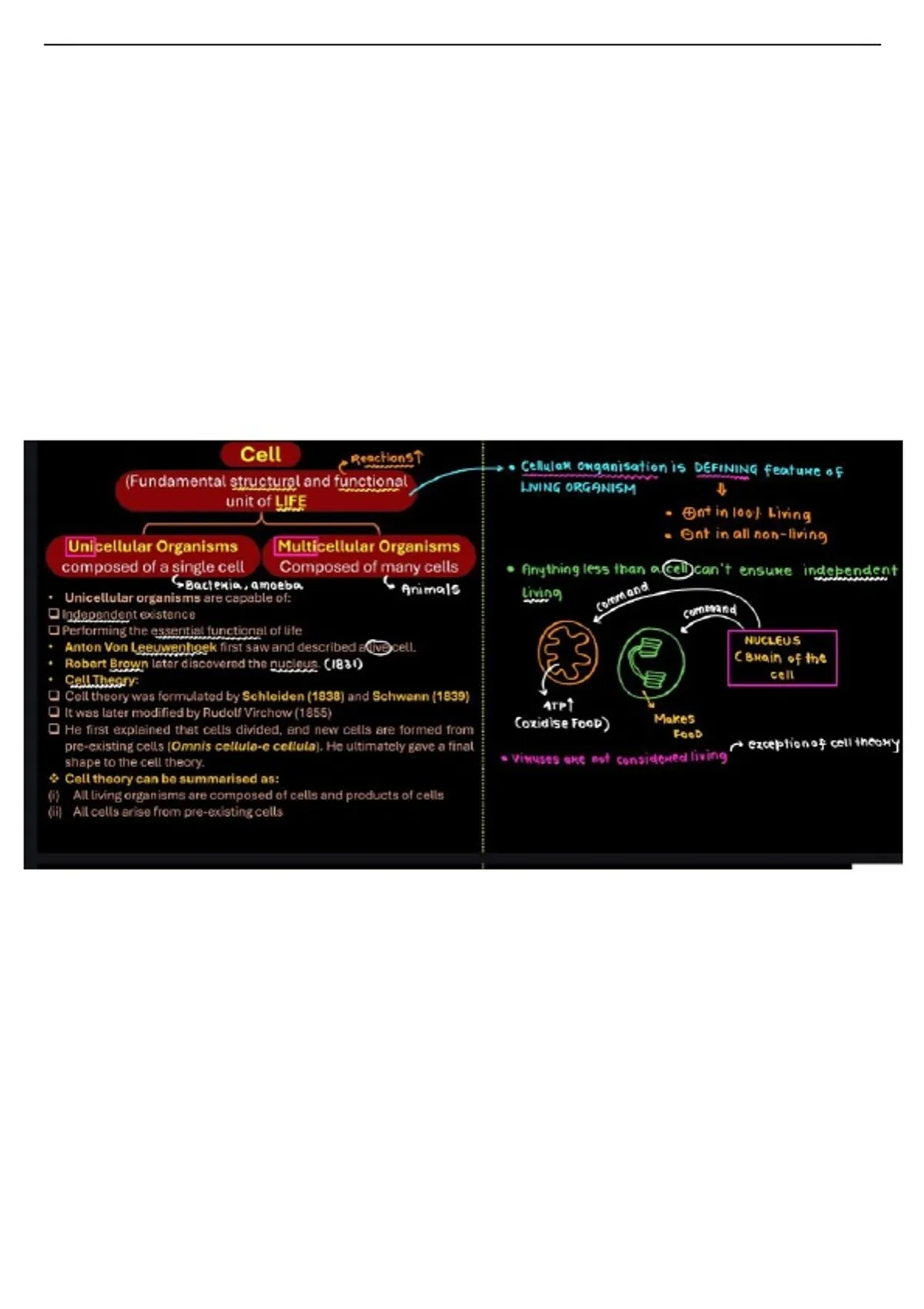 Short notes ofBiology – Cell: The Unit of Life, Class 12 CBSE ...