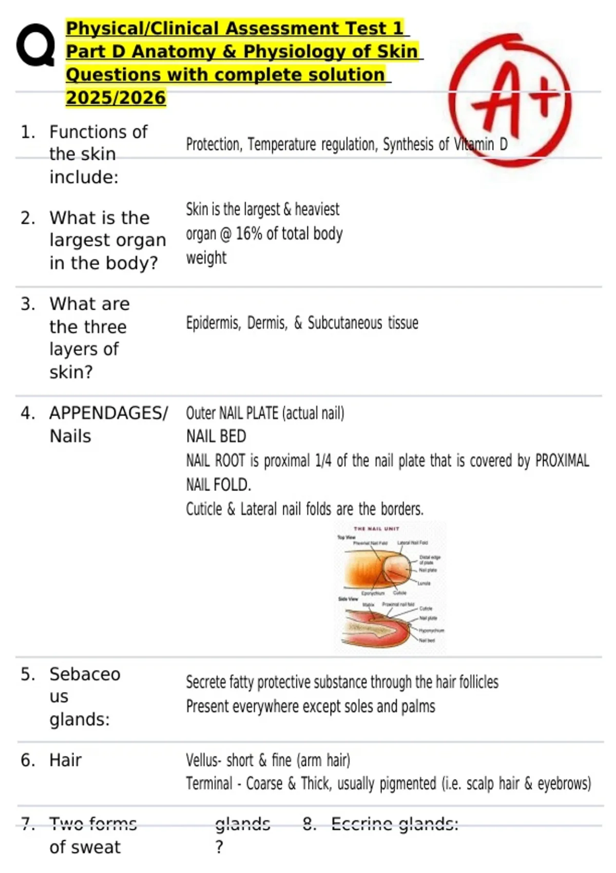 Physical/Clinical Assessment Test 1 Part D Anatomy & Physiology of Skin ...
