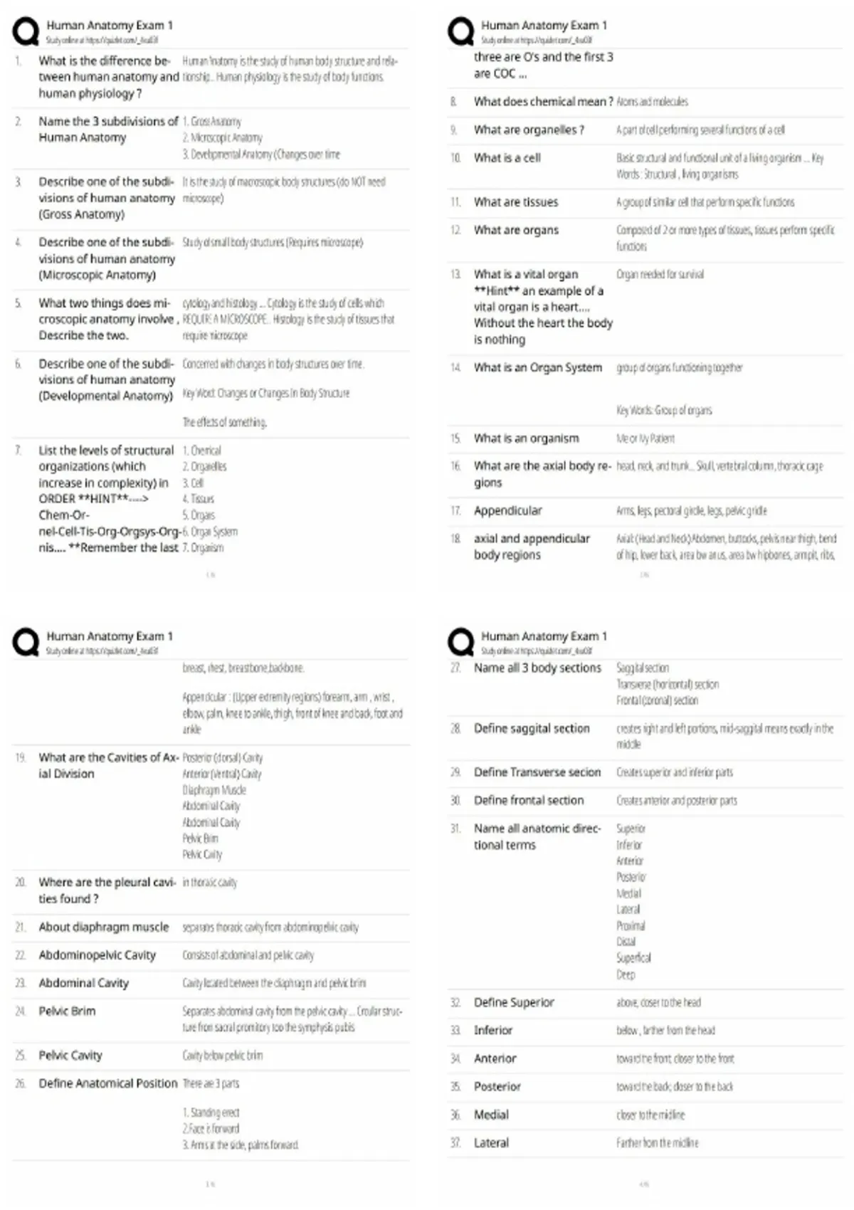 Human Anatomy Exam 1 Practice Test / Score 100% / 2025 New Version ...