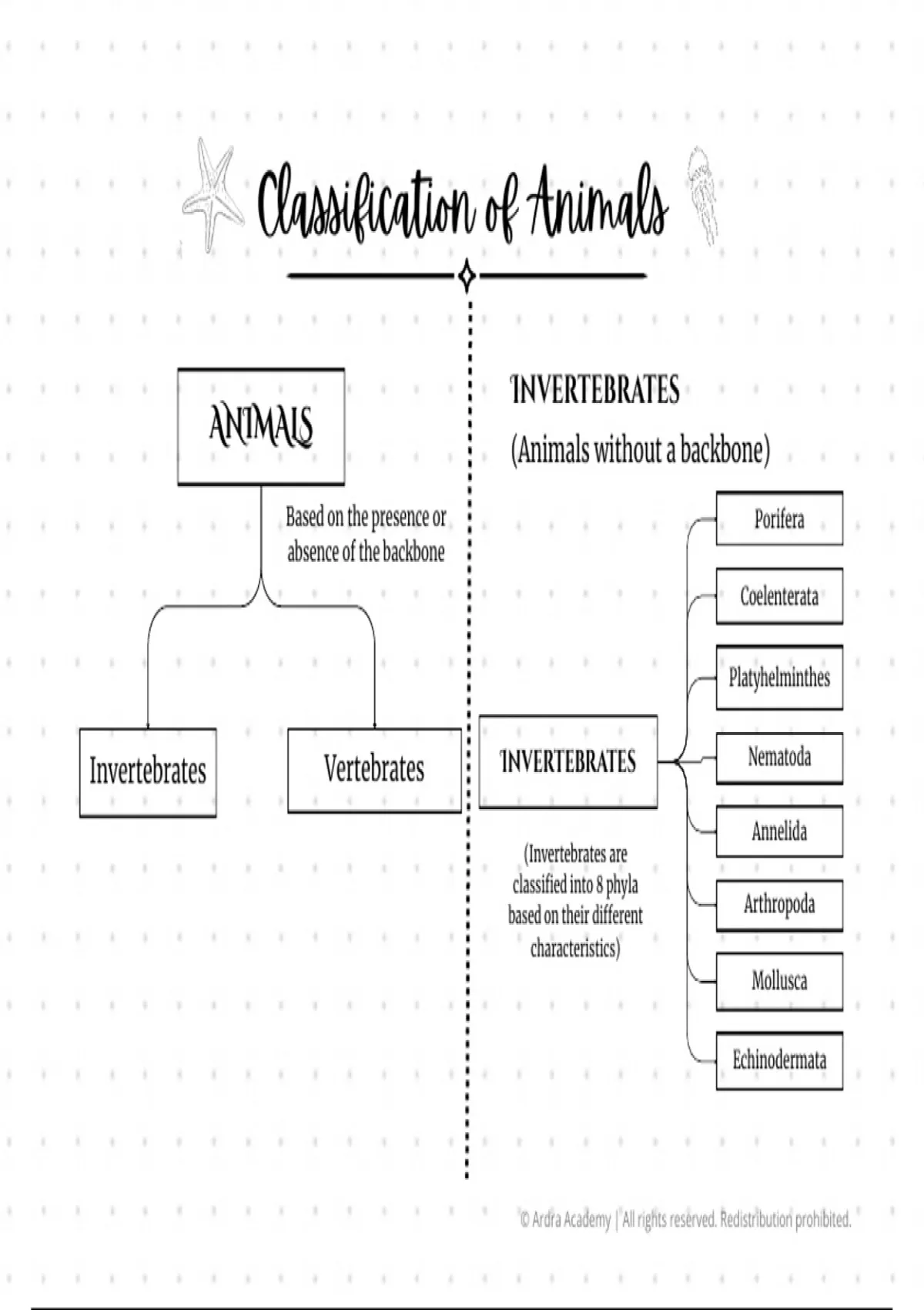 Classification of Animals – Vertebrates vs Invertebrates (Tables ...