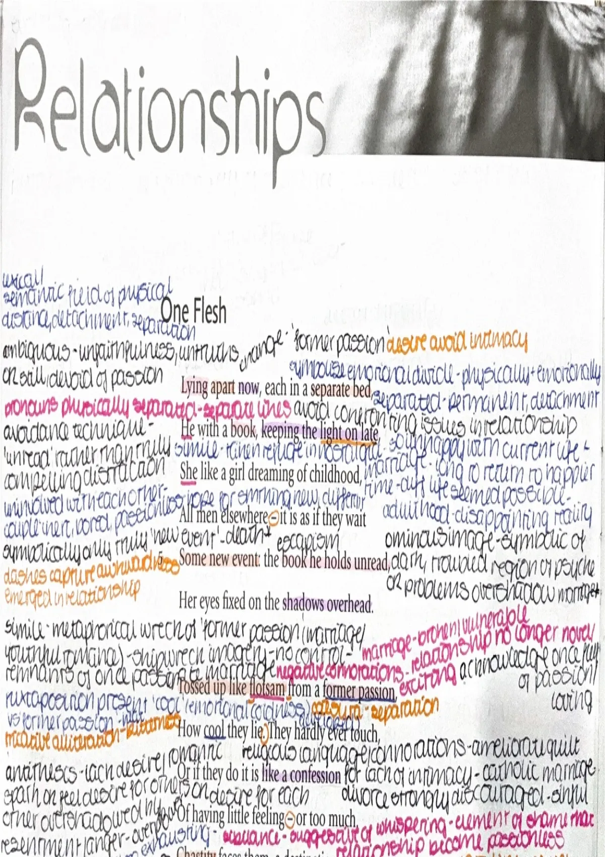 grade 9 GCSE One Flesh fully annotated poem + summary sheet English ...