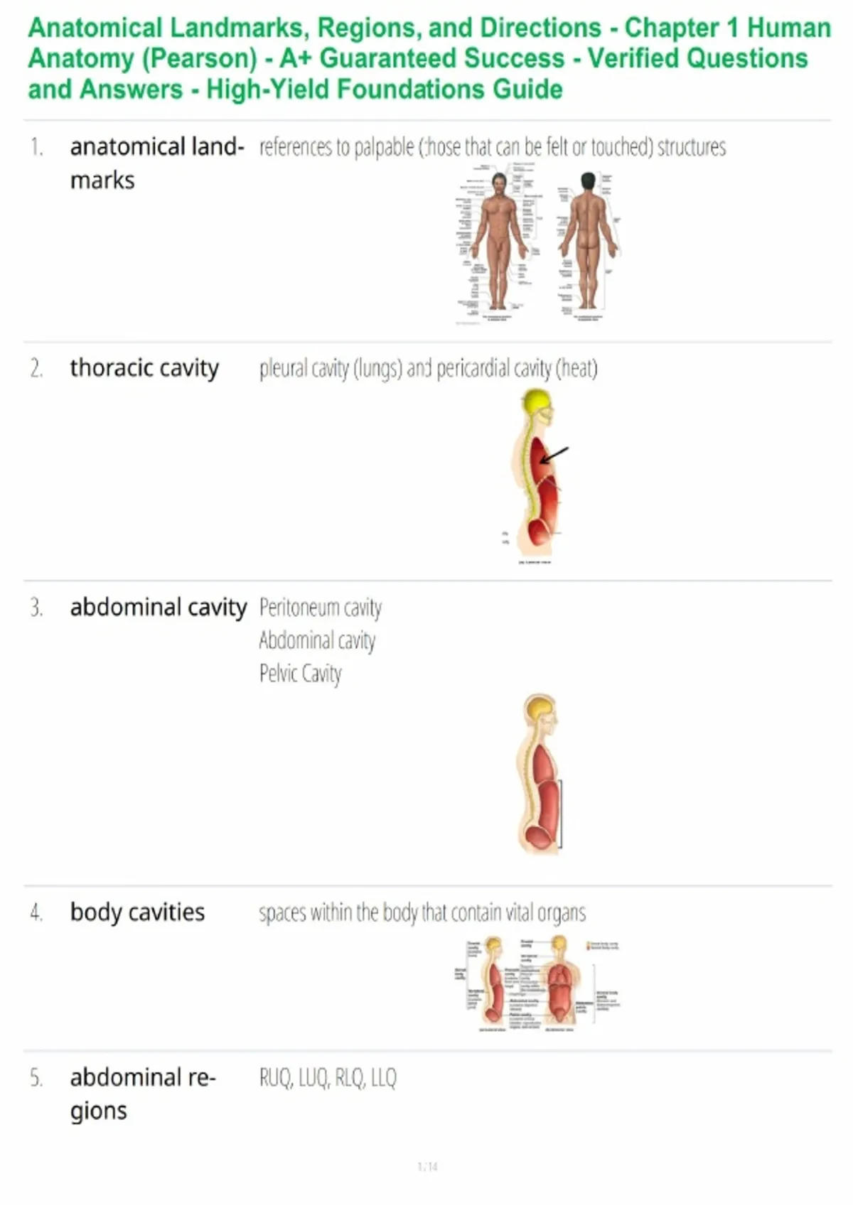 Anatomical Landmarks, Regions, and Directions - Chapter 1 Human Anatomy ...