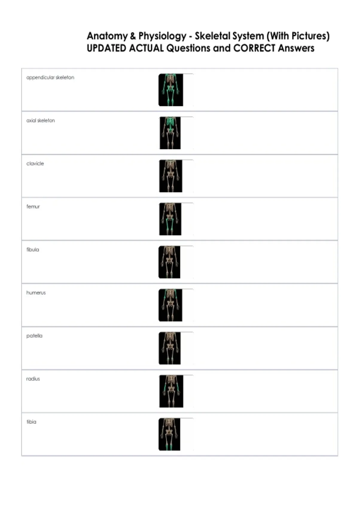 Anatomy & Physiology - Skeletal System (With Pictures) UPDATED ACTUAL ...