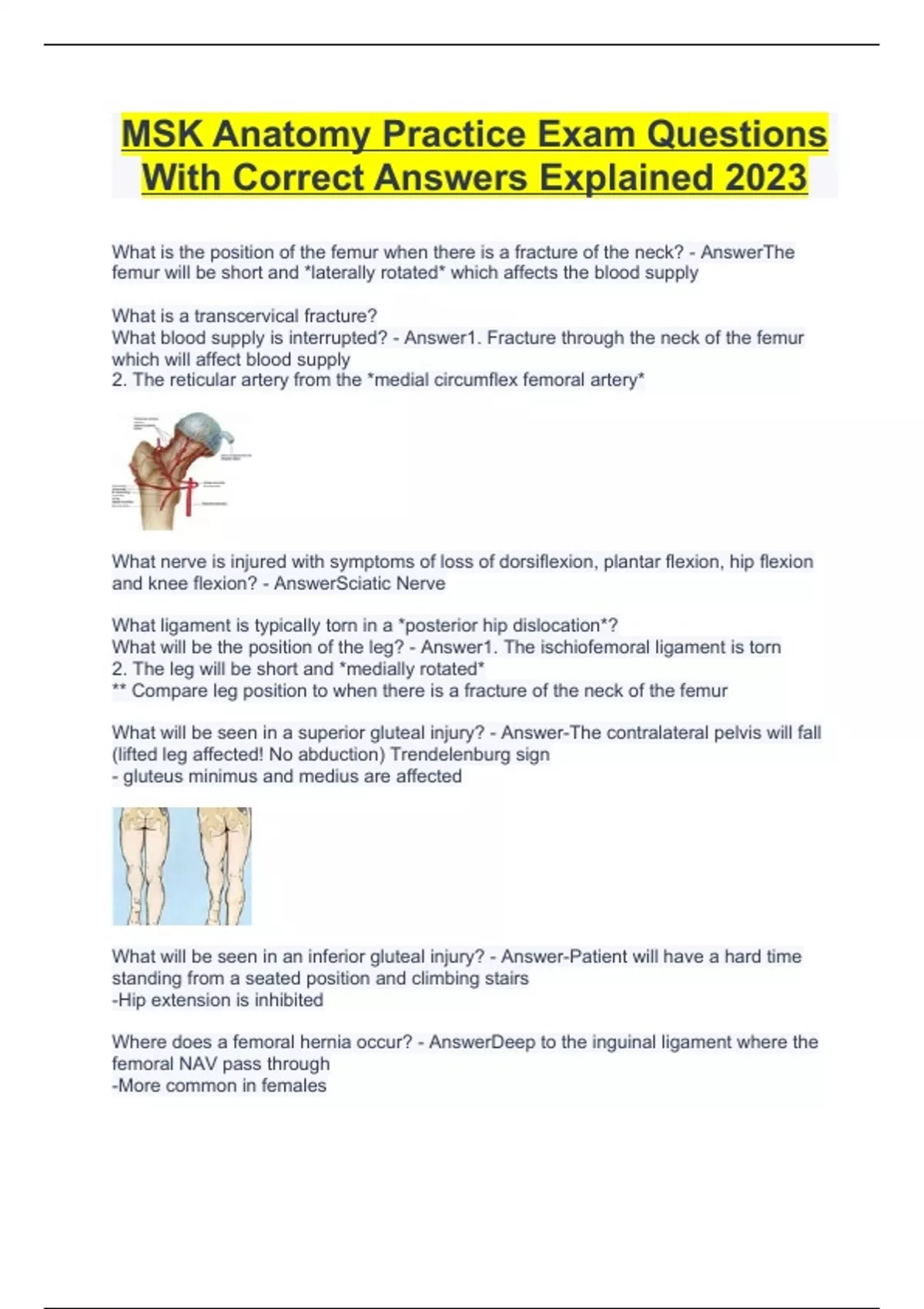 MSK Anatomy Practice Exam Questions With Correct Answers Explained 2023 ...