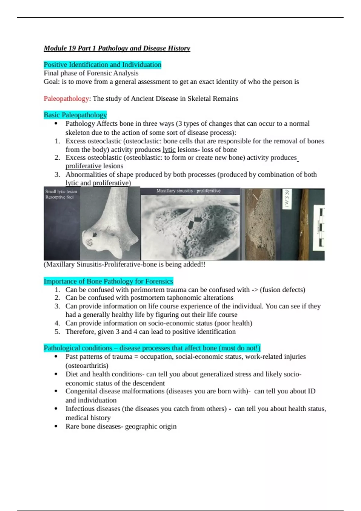Module 19 Part 1 Pathology and Disease History - Module 19 Part 1 ...