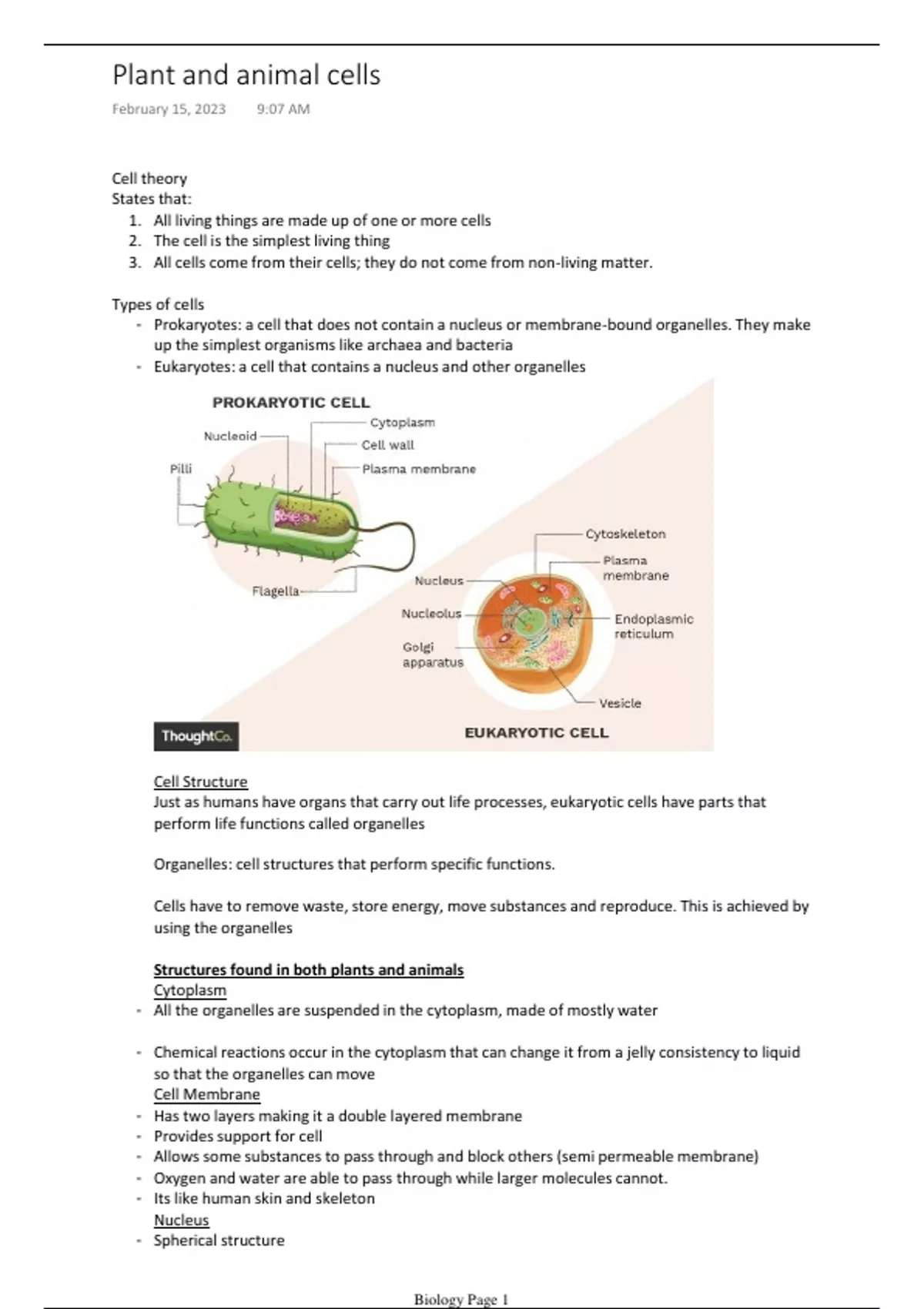 Overview of plant and animal cells - Science - Stuvia US