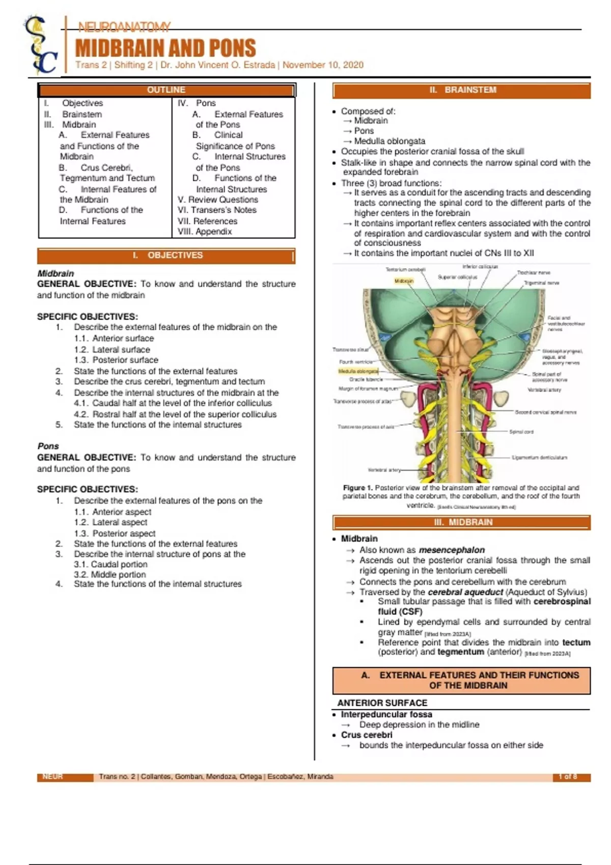 Summary NEUROANATOMY- THE MIDBRAIN AND PONS - NEUROANATOMY -THE ...