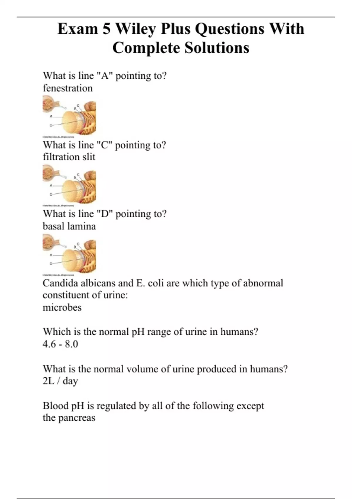 Exam 5 Wiley Plus Questions With Complete Solutions - Wiley - Stuvia US