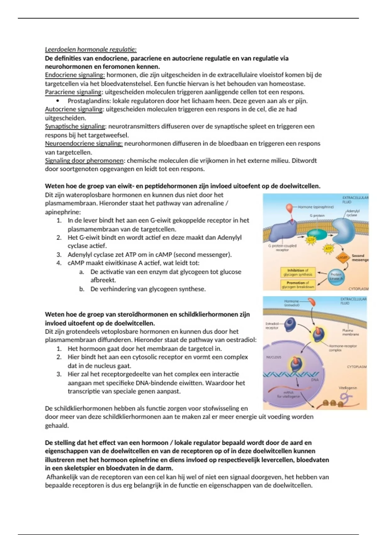 Samenvatting Uitgewerkte leerdoelen deeltoets 2 Biologie van Dieren ...