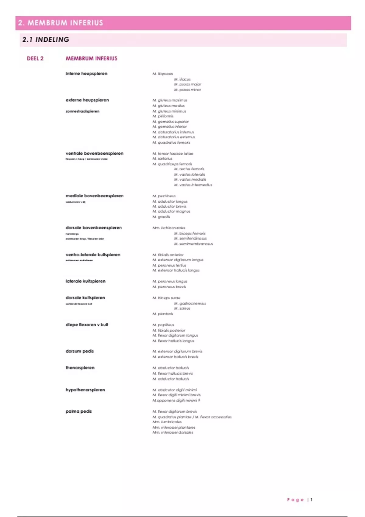 Samenvatting Anatomie : myologie - membrum inferius / onderste lidmaat ...