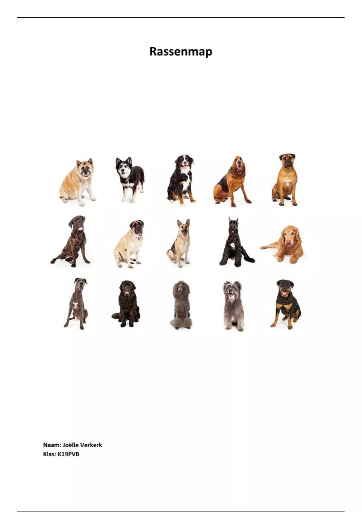 Rassenmap voor hond&kat - Soorten en Rassen - Stuvia NL