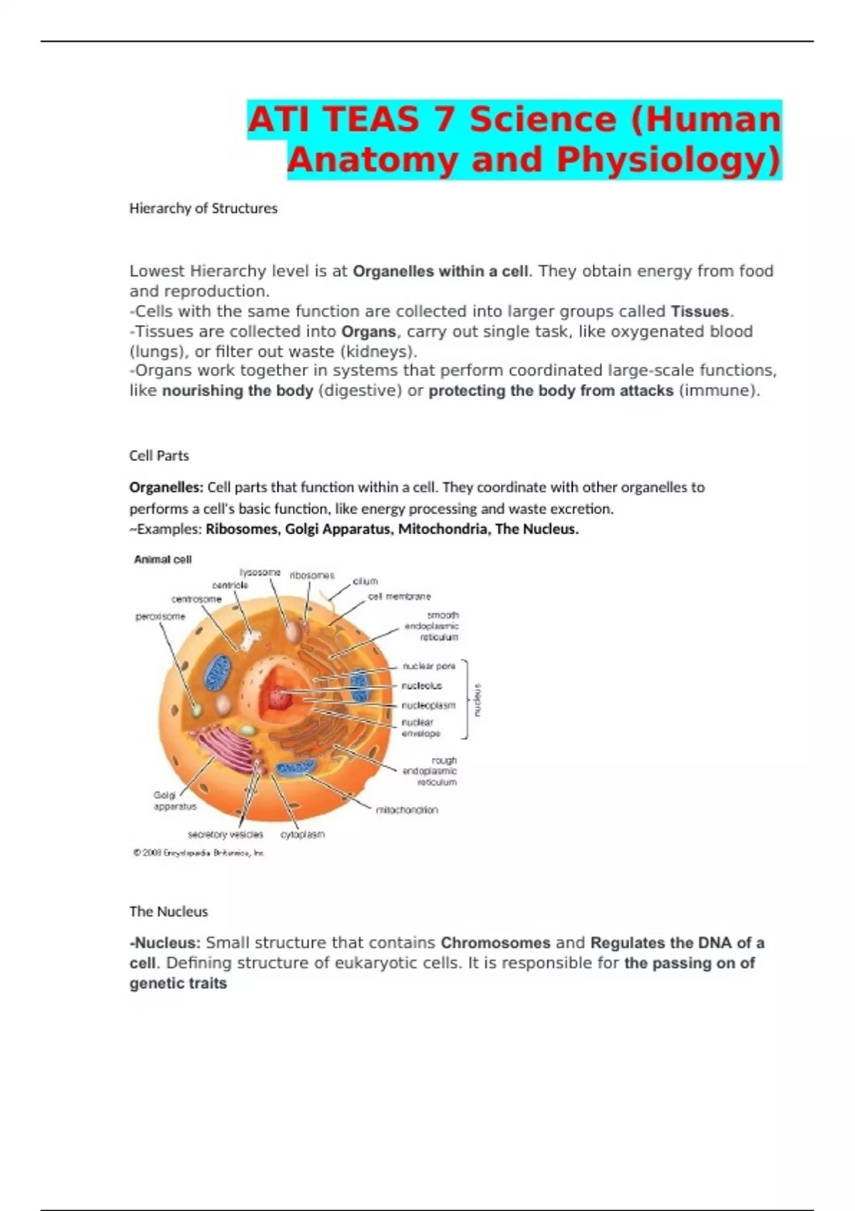 ATI TEAS 7 Science (Human Anatomy and Physiology) - ATI TEAS 7 Science ...
