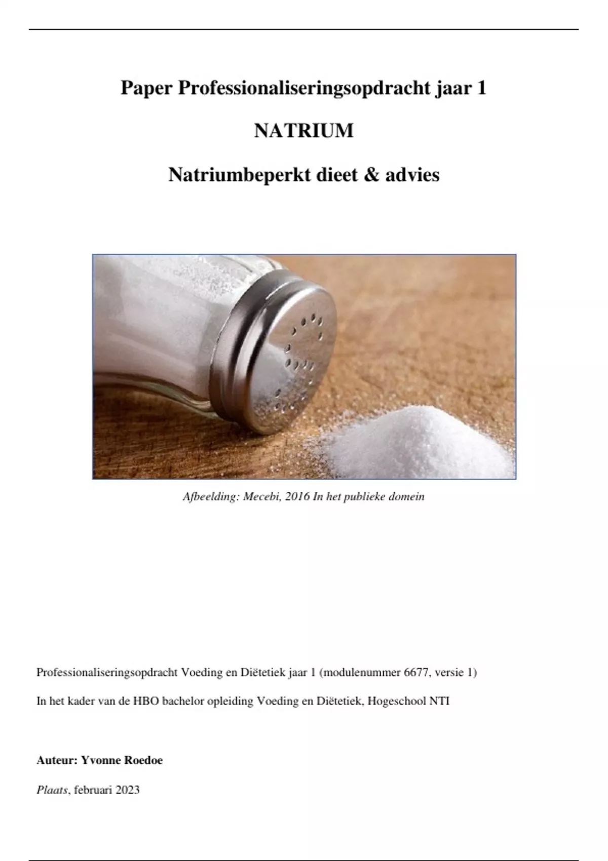 Paper Professionaliseringsopdracht jaar 1 (6677) beoordeeld met 10 ...