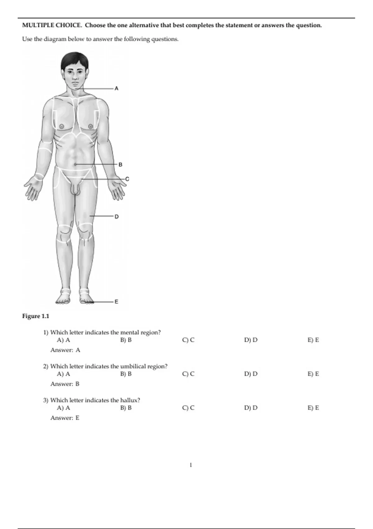 Test Bank for Human Anatomy 8th Edition Marieb / All Chapters 1 - 25 ...