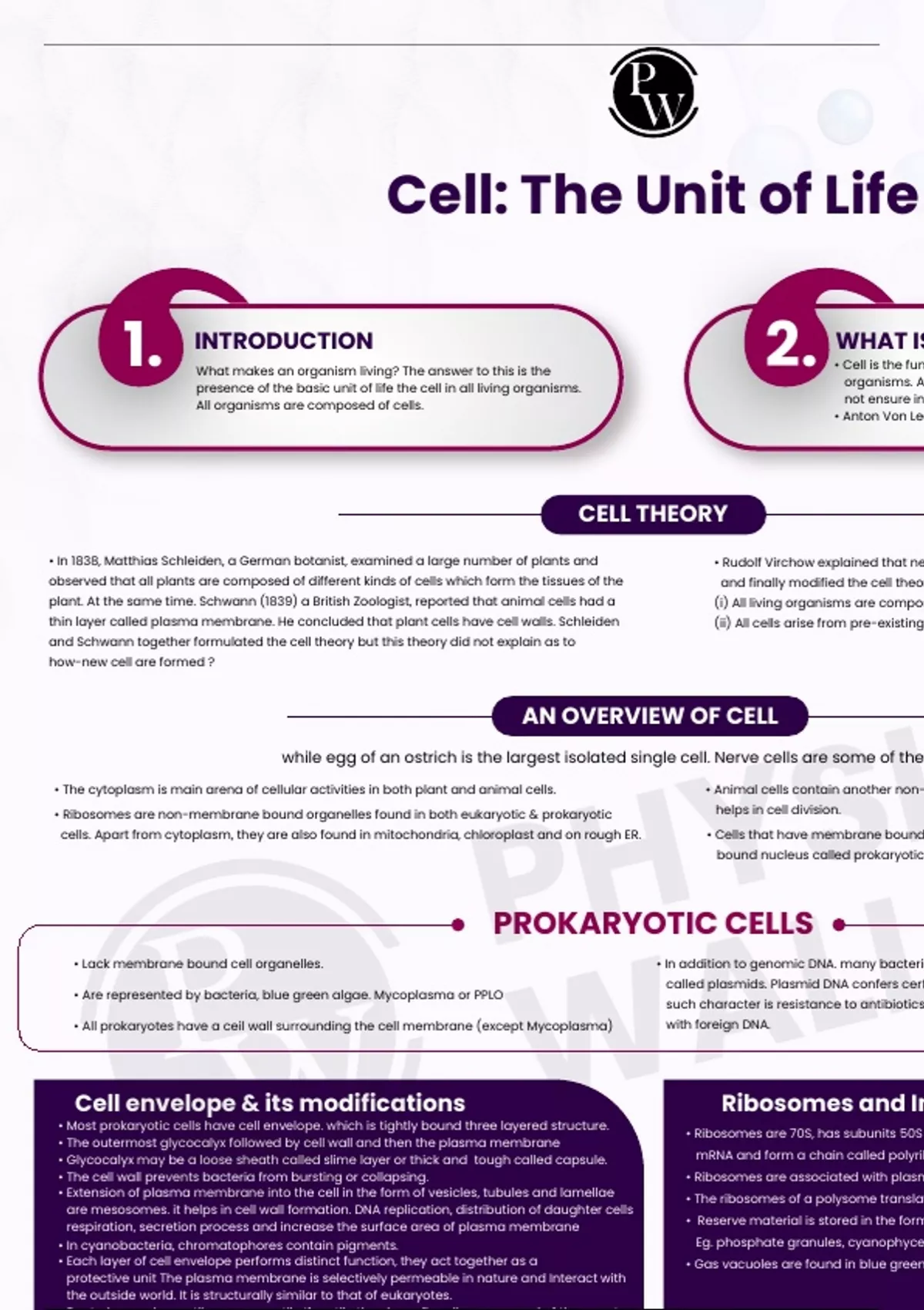 Summary CELL THE UNIT OF LIFE MIND MAP NEET - BOTANY NEET - Stuvia US