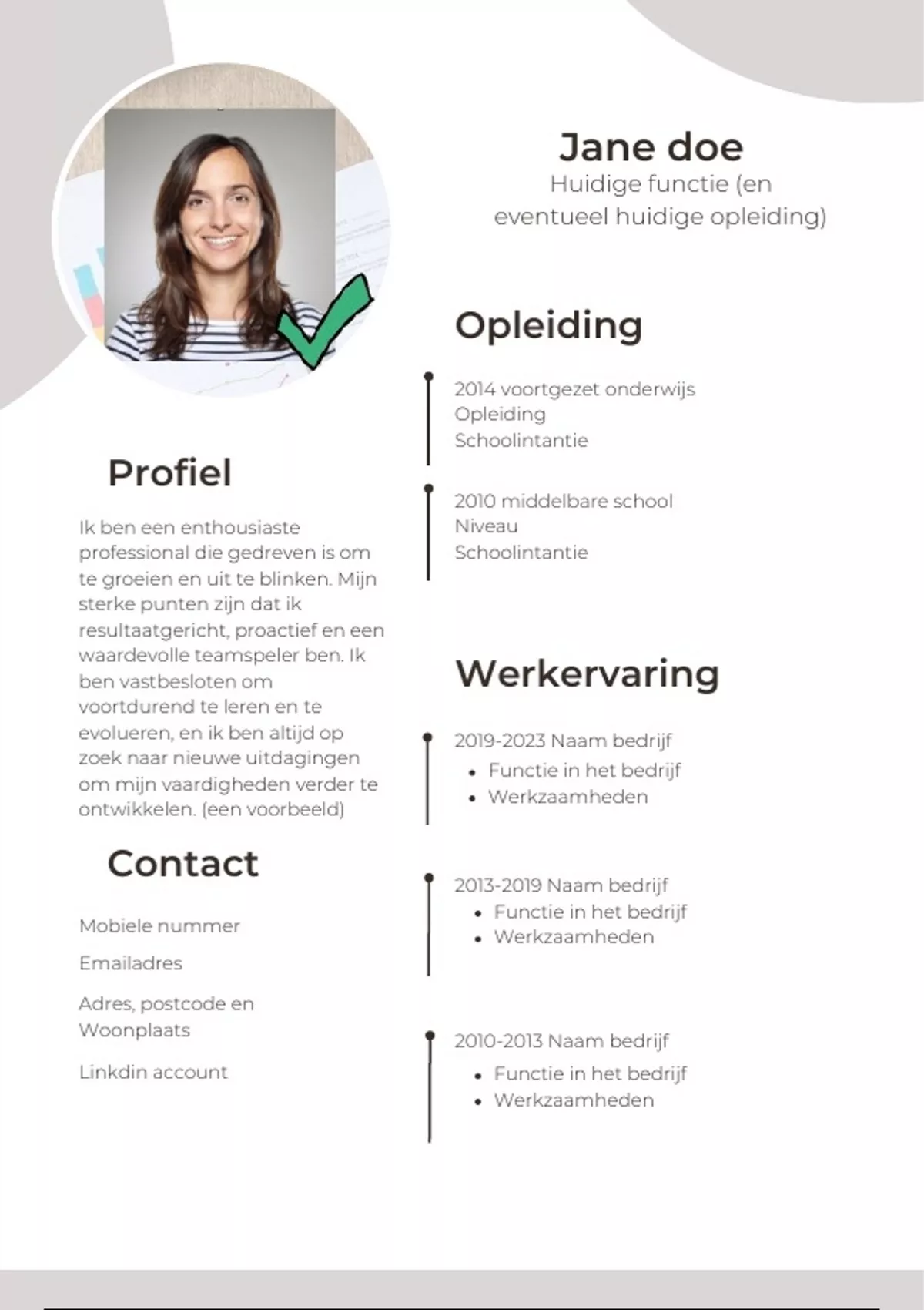 Voorbeeld professioneel CV - Het is voor een sollicitatie - Stuvia NL