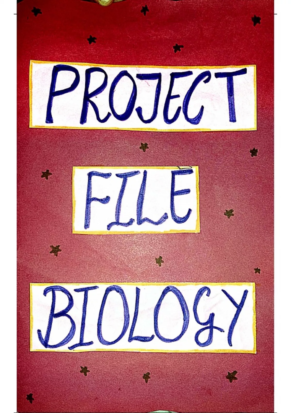 Project file for life processes - Biology - Stuvia US