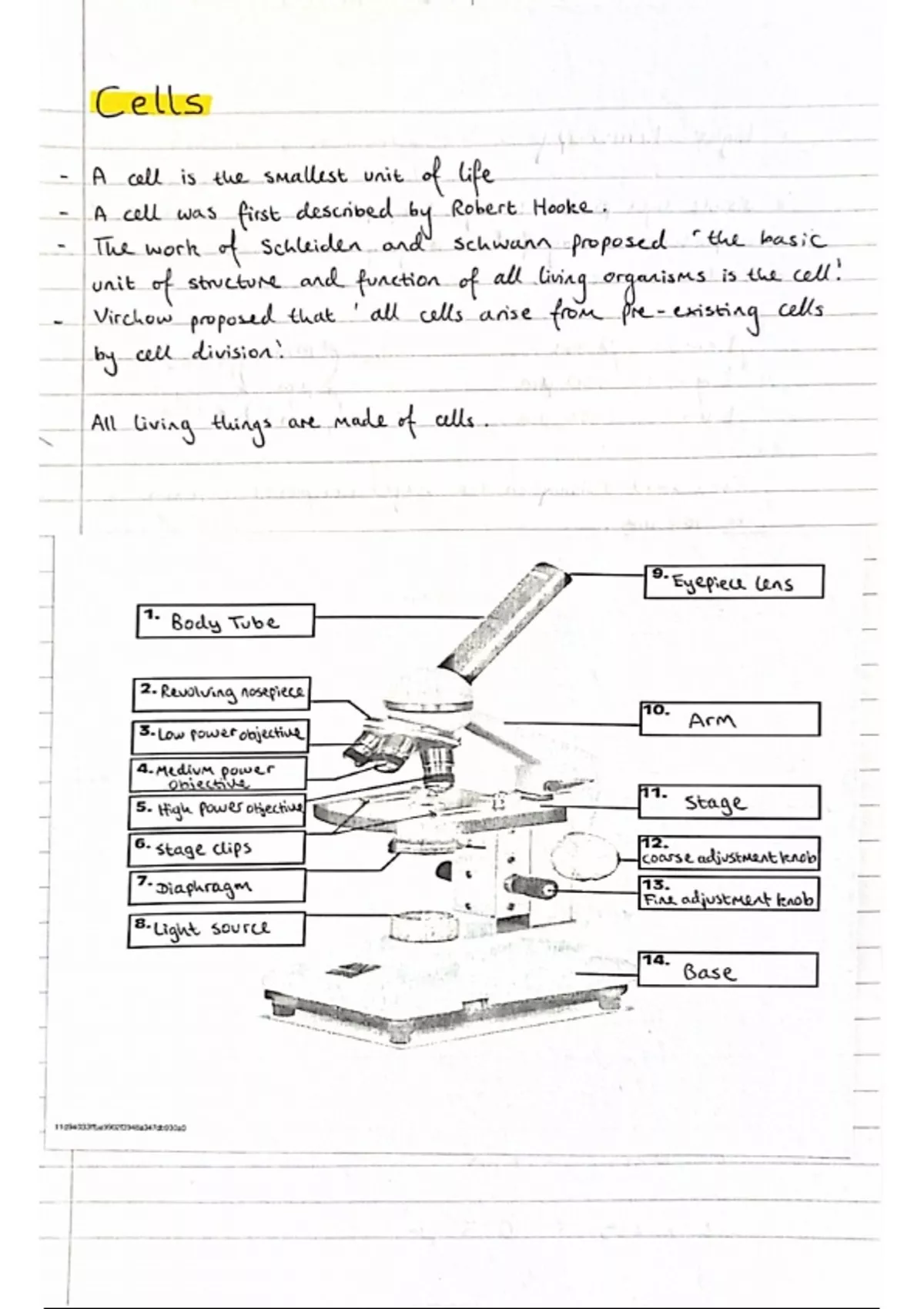 A* AQA A-level Biology 'Cells' Detailed Handwritten Notes - Unit 2 ...