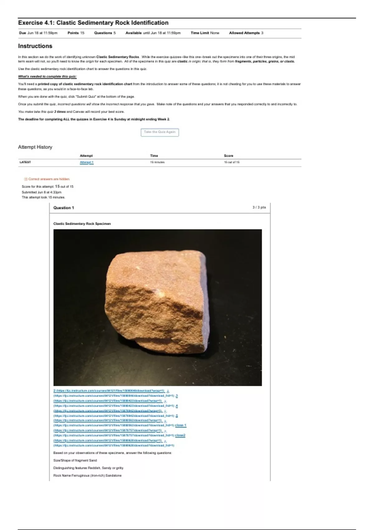 Quiz 4.1, Sedimentary Rock Geology Lab - Geology 1401 - Stuvia US