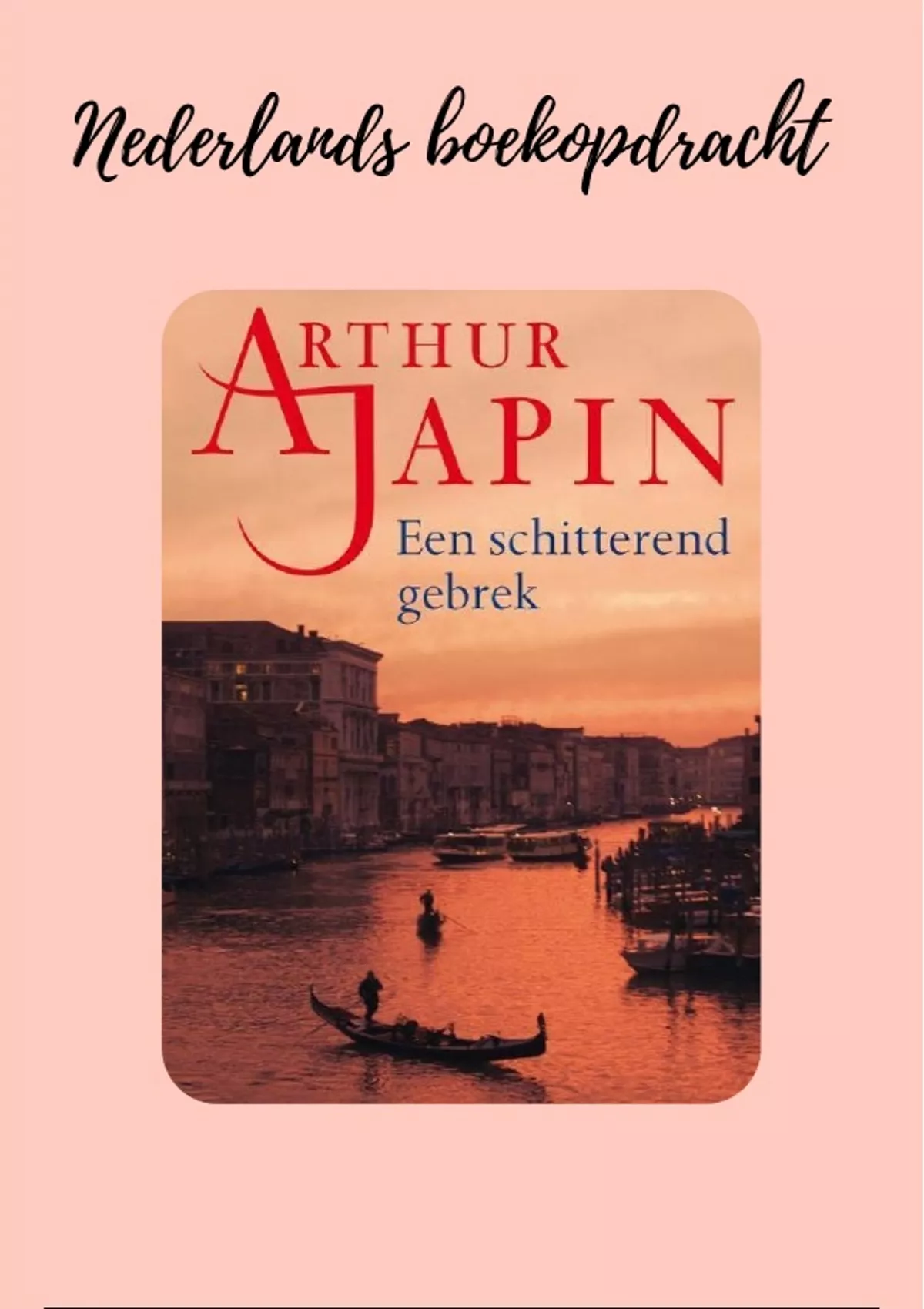 Boekverslag een schitterend gebrek Arthur Japin vwo - Nederlands ...