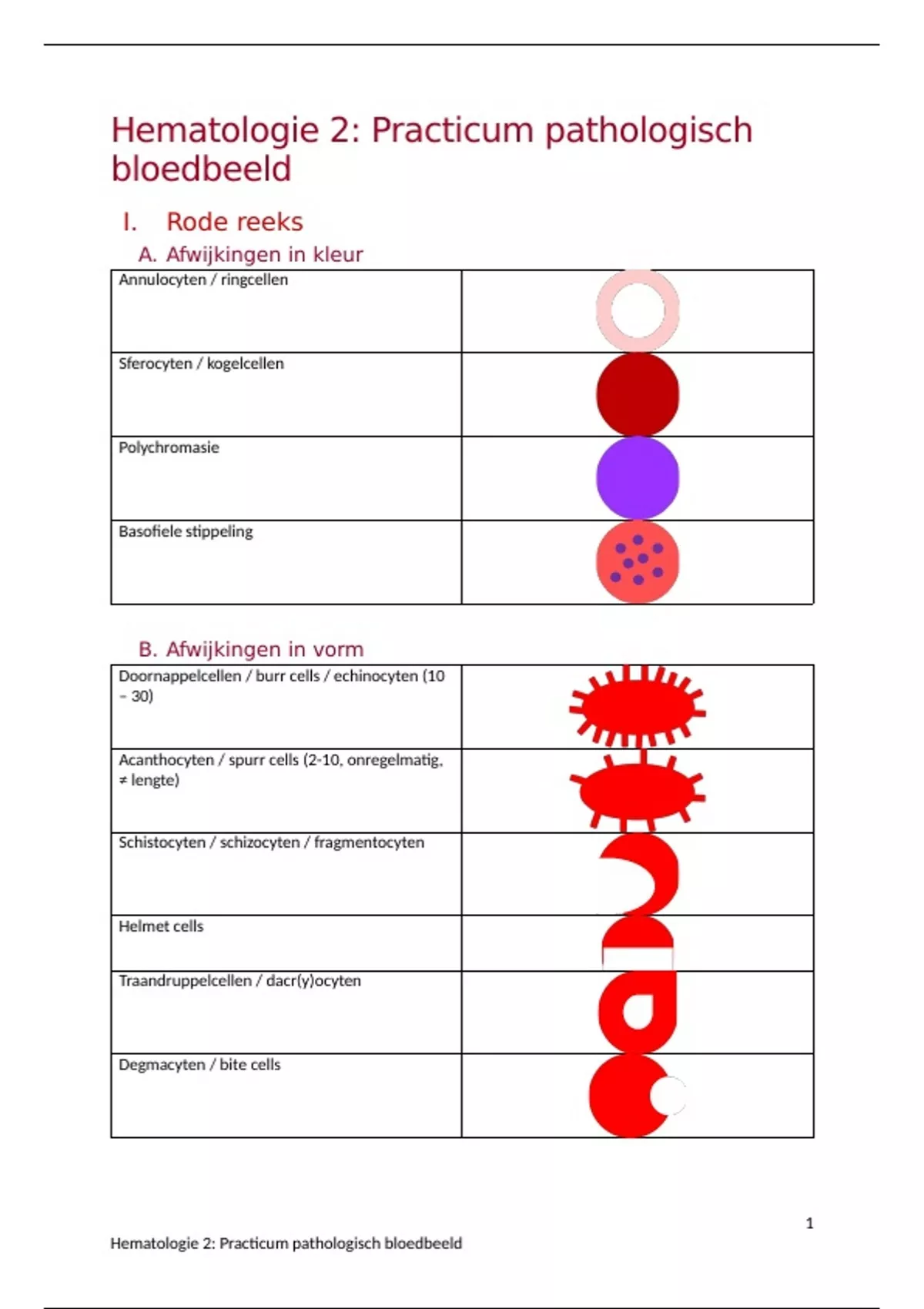 Samenvatting Hematologie 2: practicum pathologisch bloedbeeld ...