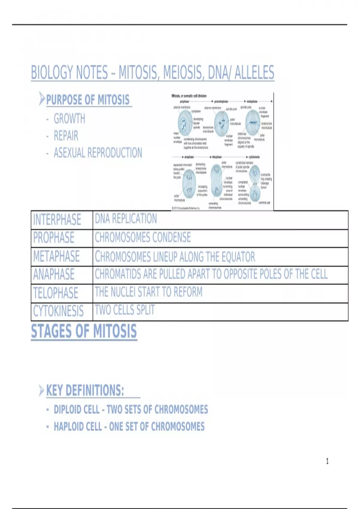 Summary Biology Notes - Mitosis, Meiosis, DNA - Science - Stuvia UK