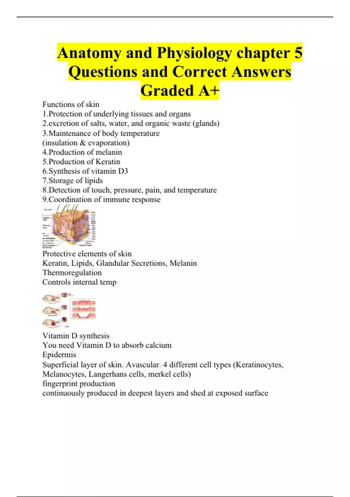 Anatomy and Physiology chapter 5 Questions and Correct Answers Graded ...
