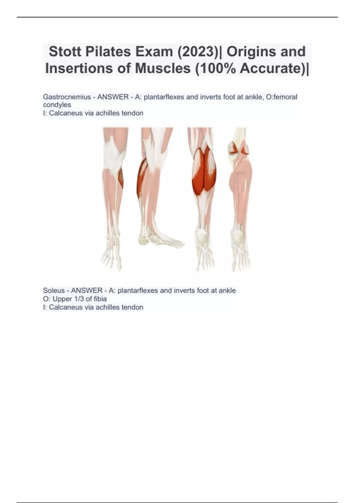 Stott Pilates Exam (2023)| Origins and Insertions of Muscles (100% ...