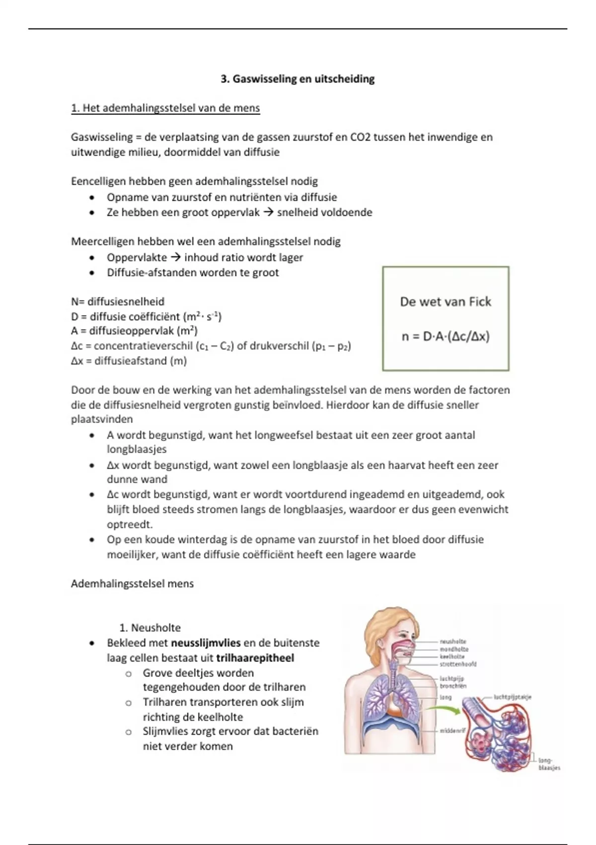 Samenvatting H3 Gaswisseling en Uitscheiding VWO 6 - Biologie Voor Jou ...