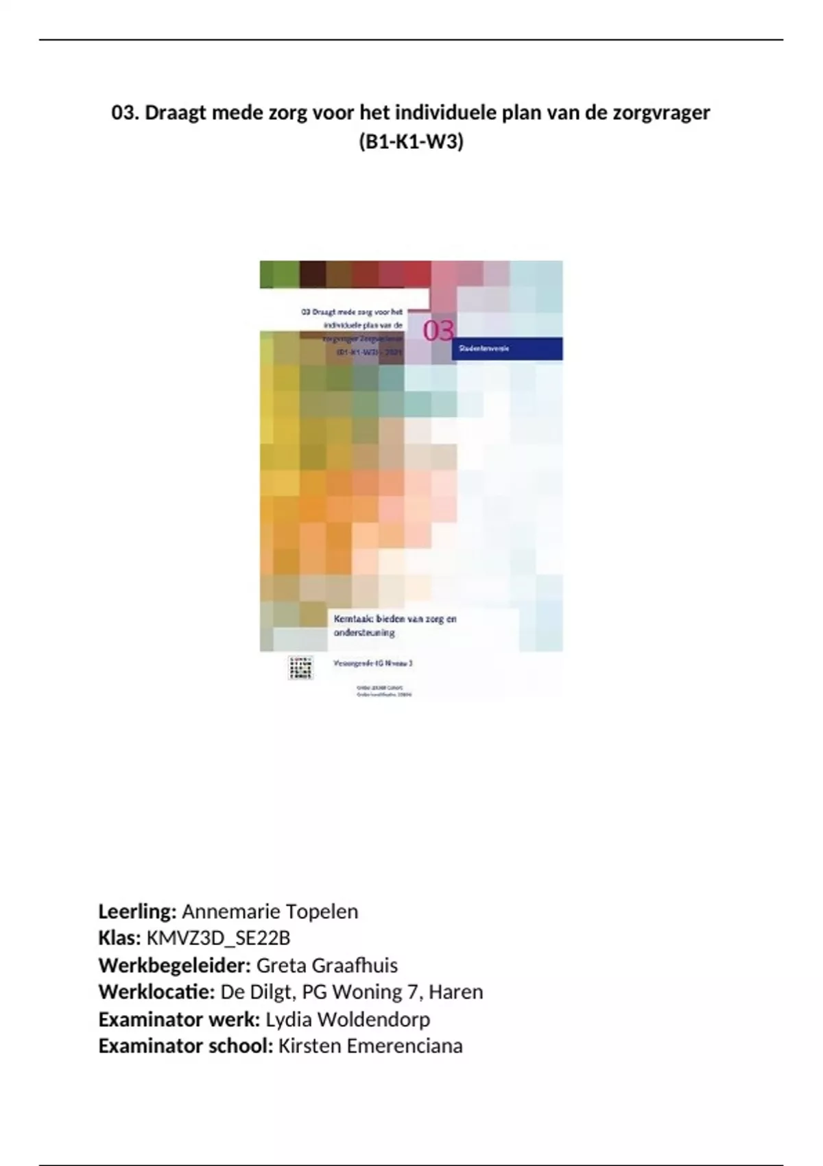 03. Draagt mede zorg voor het individuele plan van de zorgvrager ...