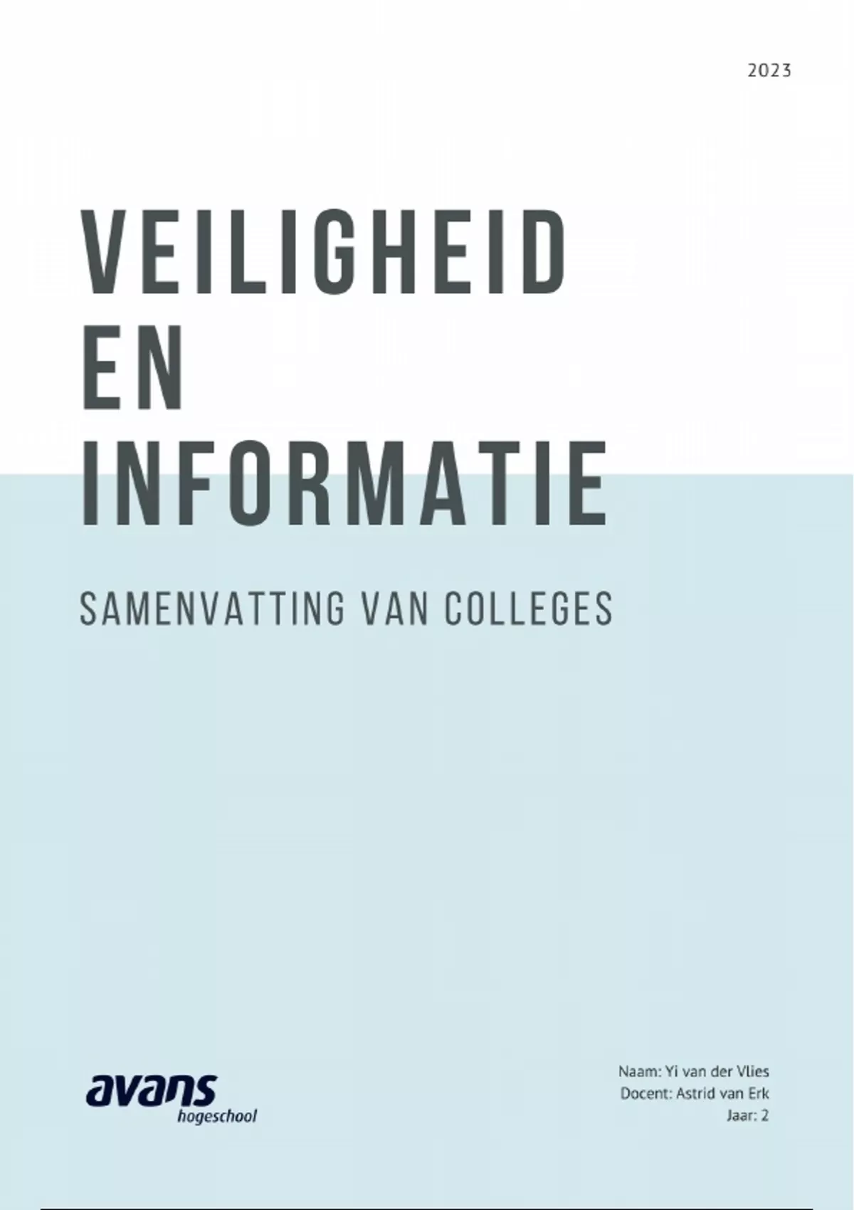 Samenvatting VOLDOENDE VOOR VEILIGHEID EN INFORMATIE HALEN ...
