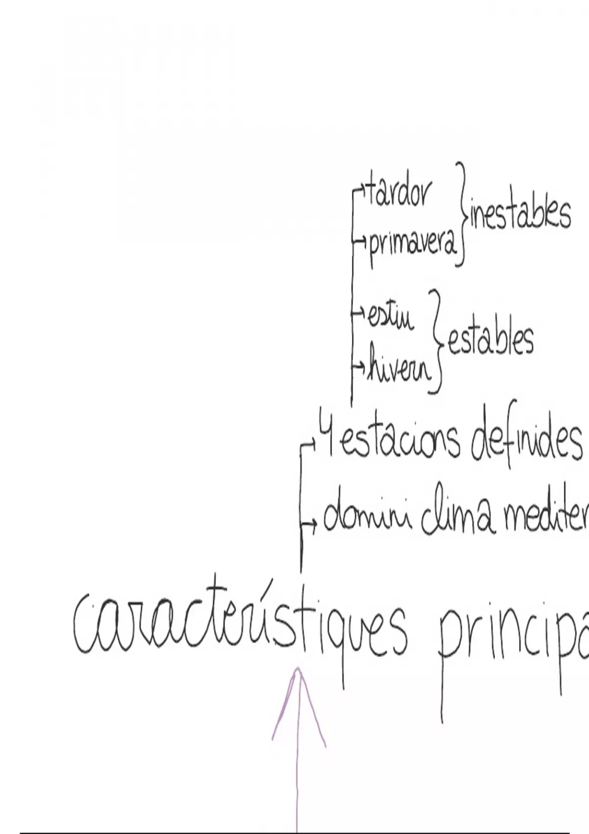 Mapa conceptual climes Catalunya - Ensenyament i aprenentatge de les cc. socials - Stuvia ES