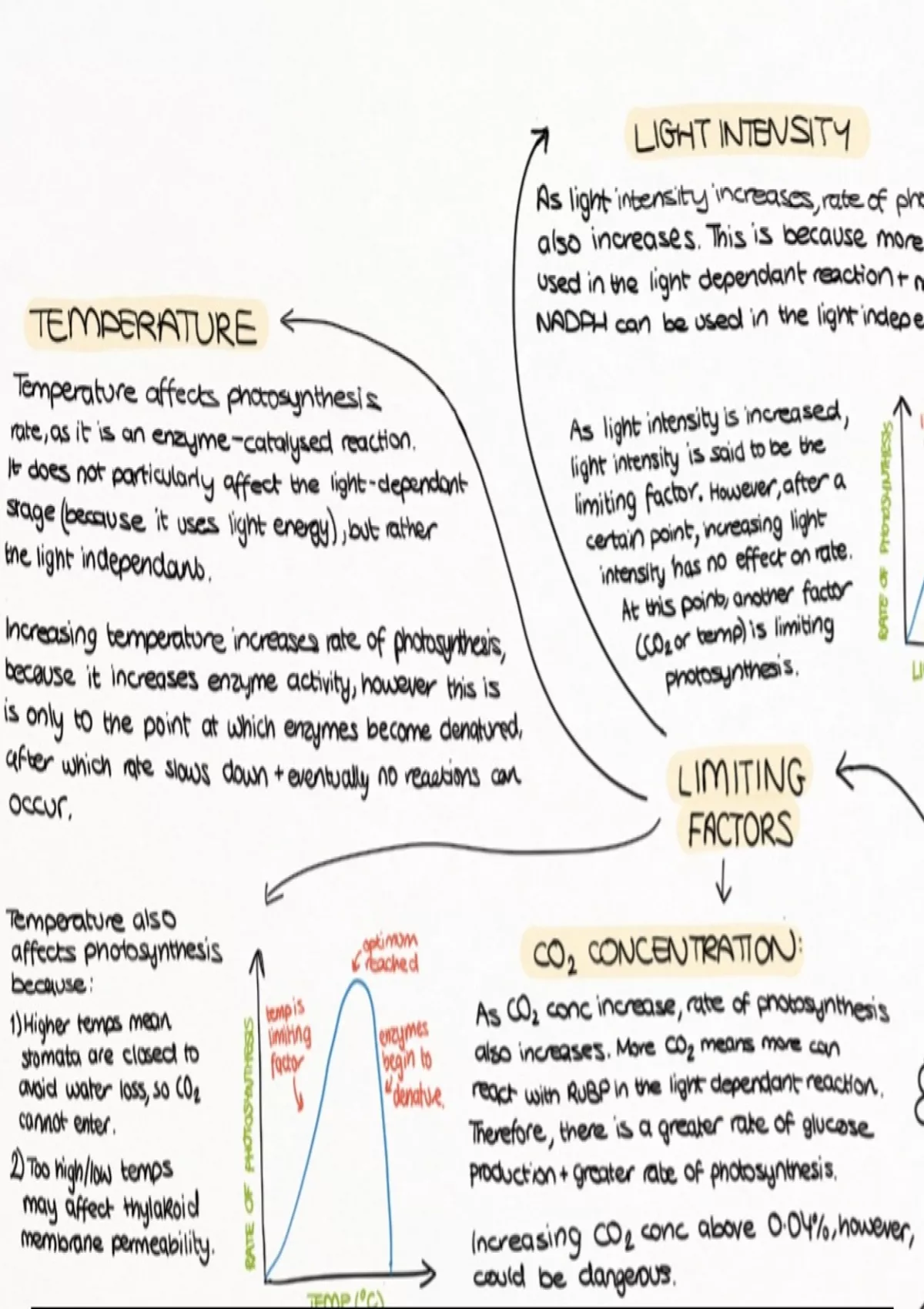 Summary AQA A Level Biology - Photosynthesis Mindmap - Unit 5 - Energy ...