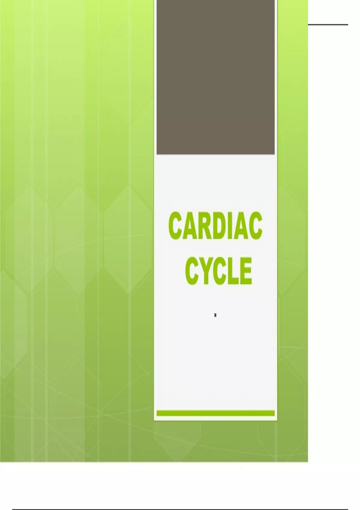 Human Cardiac Cycle - Biology - Stuvia US