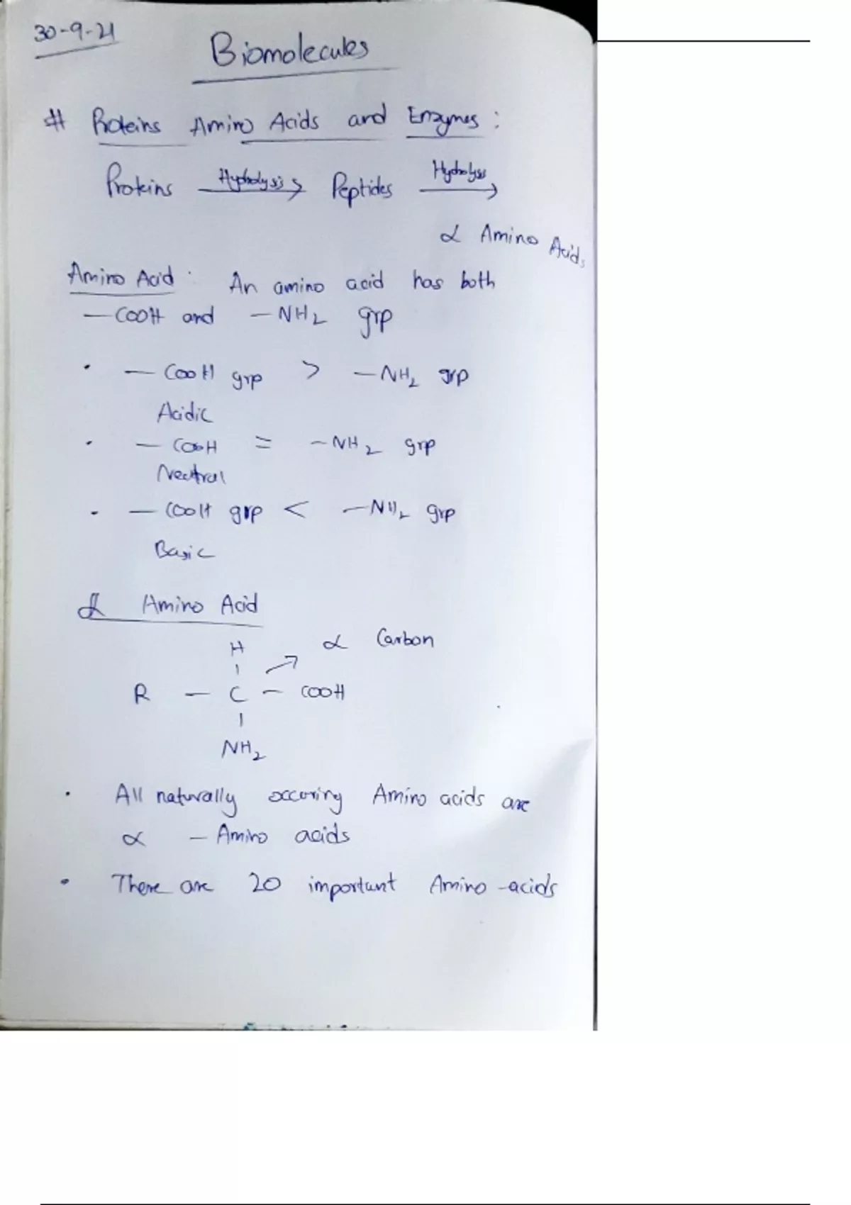 Biomolecules - detailed handwritten notes - Chemistry - Stuvia US