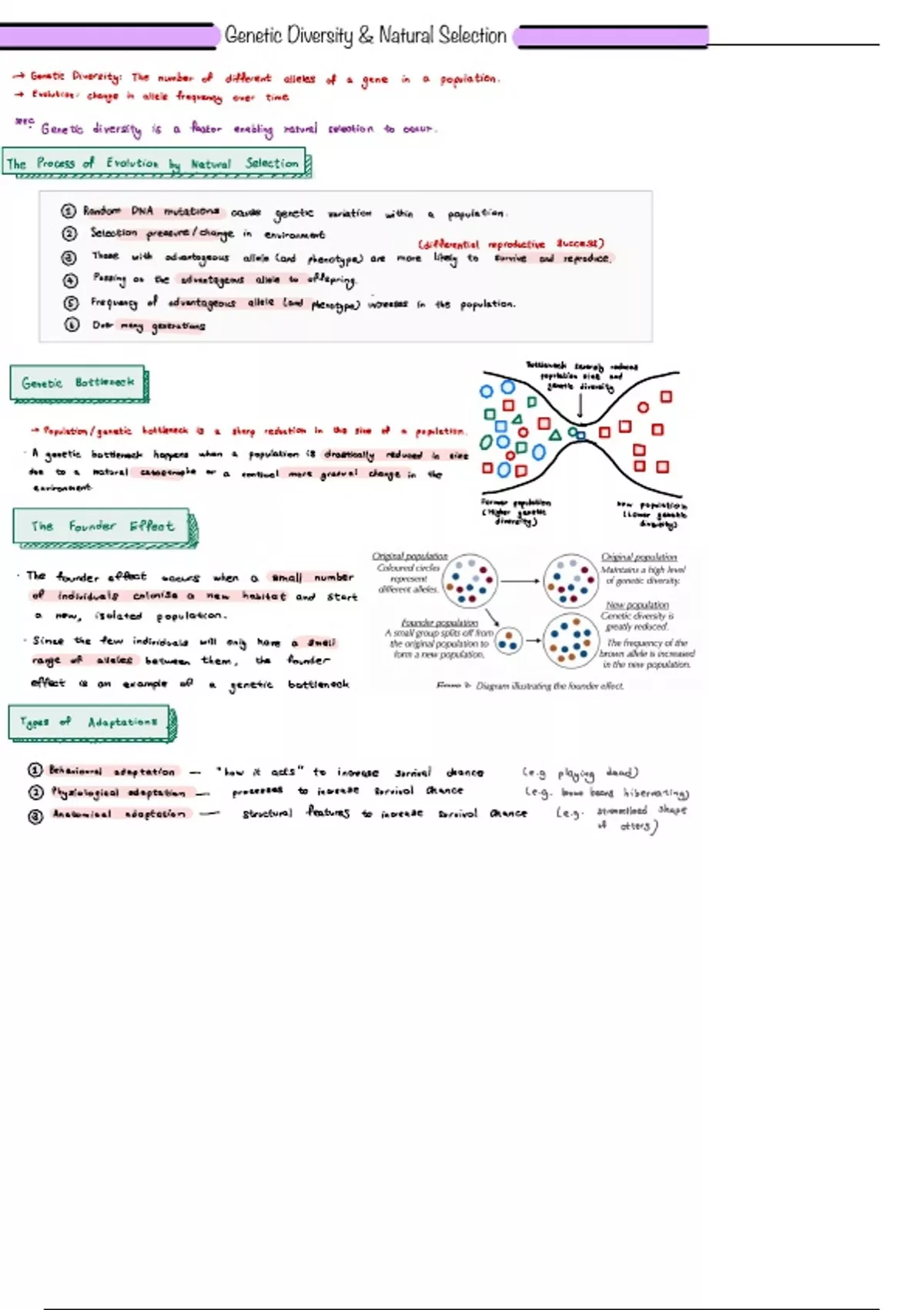 Summary AQA ALEVEL BIOLOGY NOTES ON GENETIC DIVERSITY AND NATURAL ...