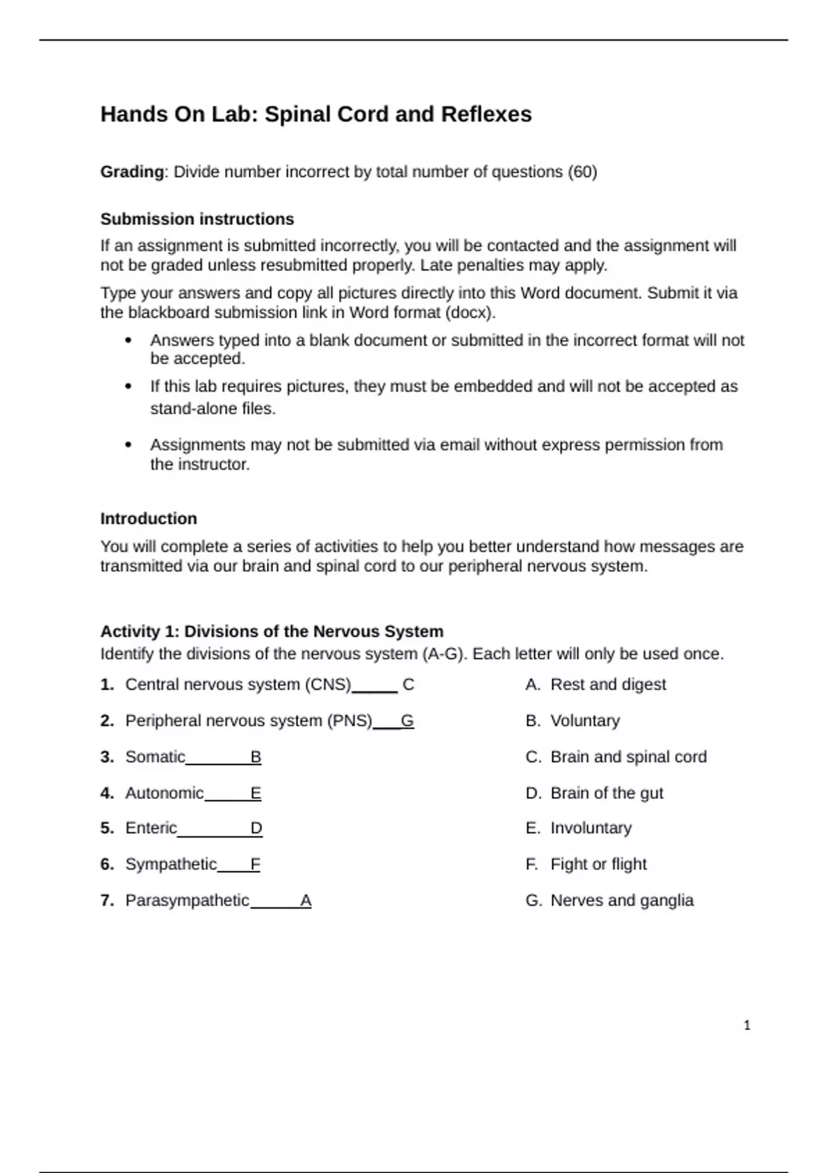 Hands On Lab: Spinal Cord and Reflexes - BIO 168 - Stuvia US