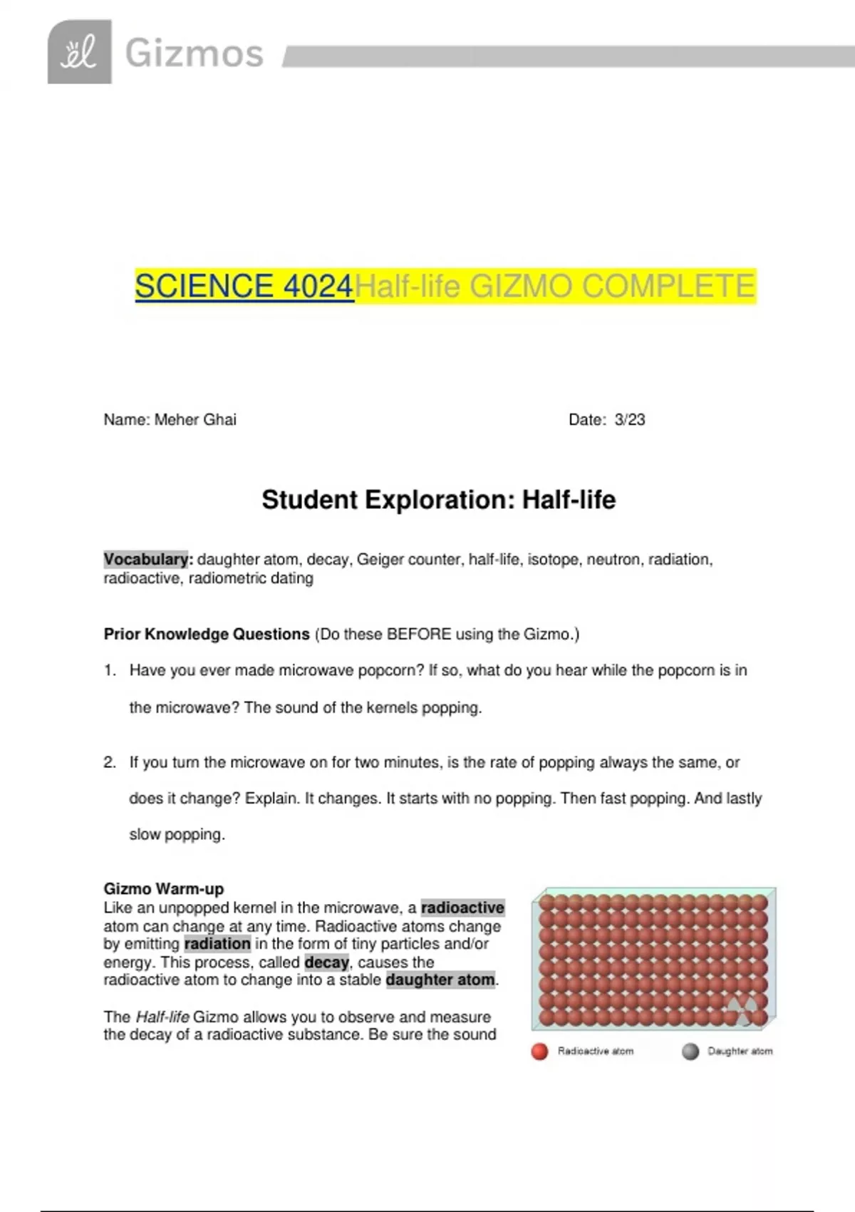 Half-life GIZMO COMPLETE - GIZMO - Stuvia US