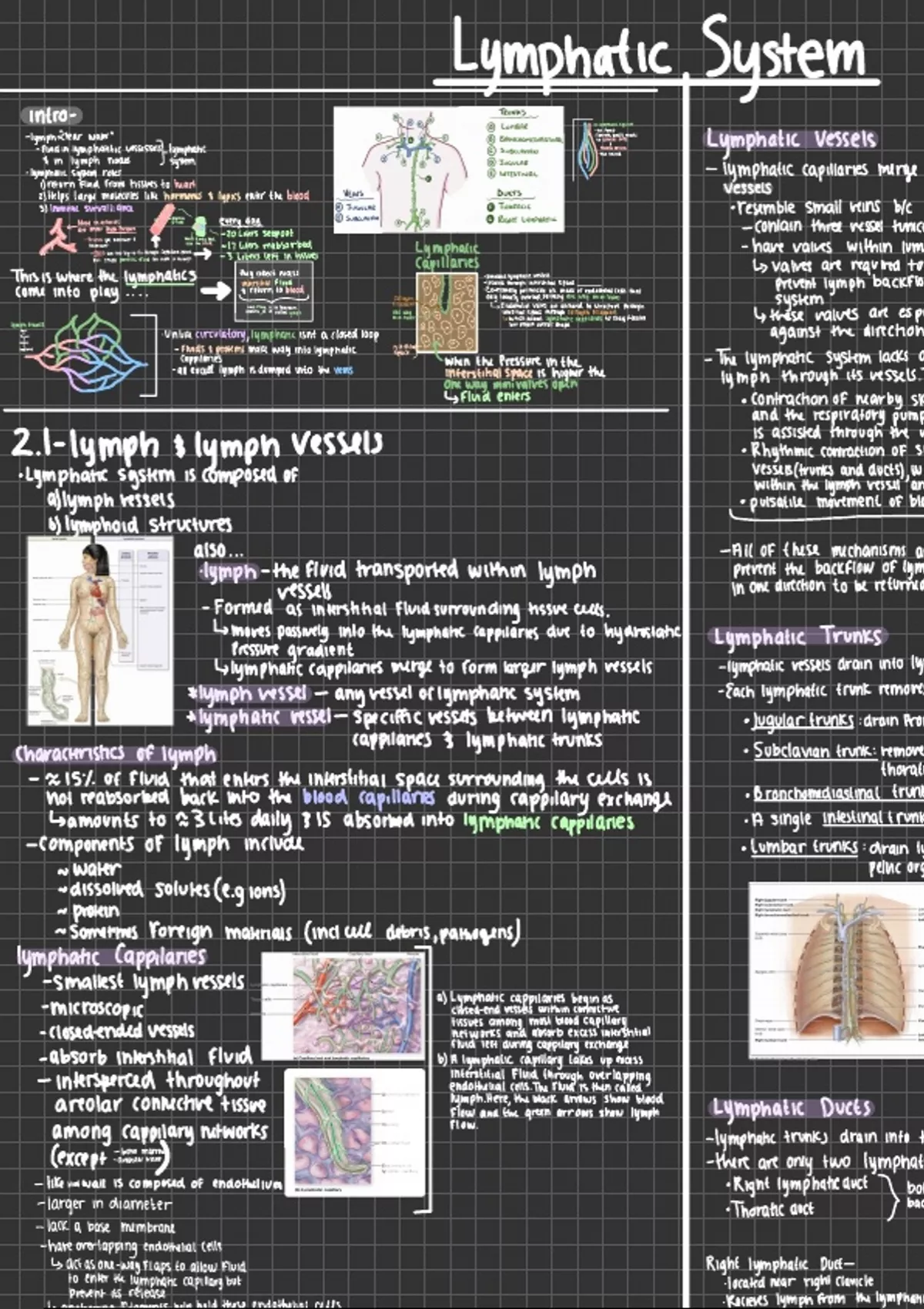 Summary The Lymphatic System - Bio232 - Stuvia US