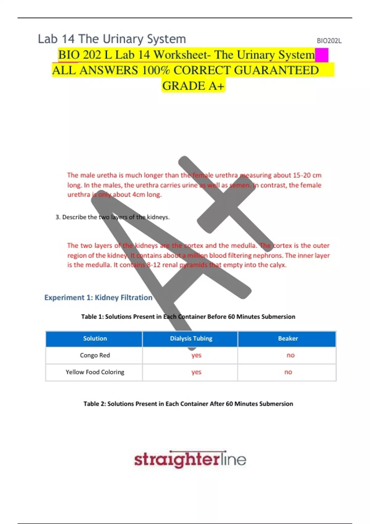 BIO 202 L Lab 14 Worksheet- The Urinary System ALL ANSWERS 100% CORRECT GUARANTEED GRADE A+ ...