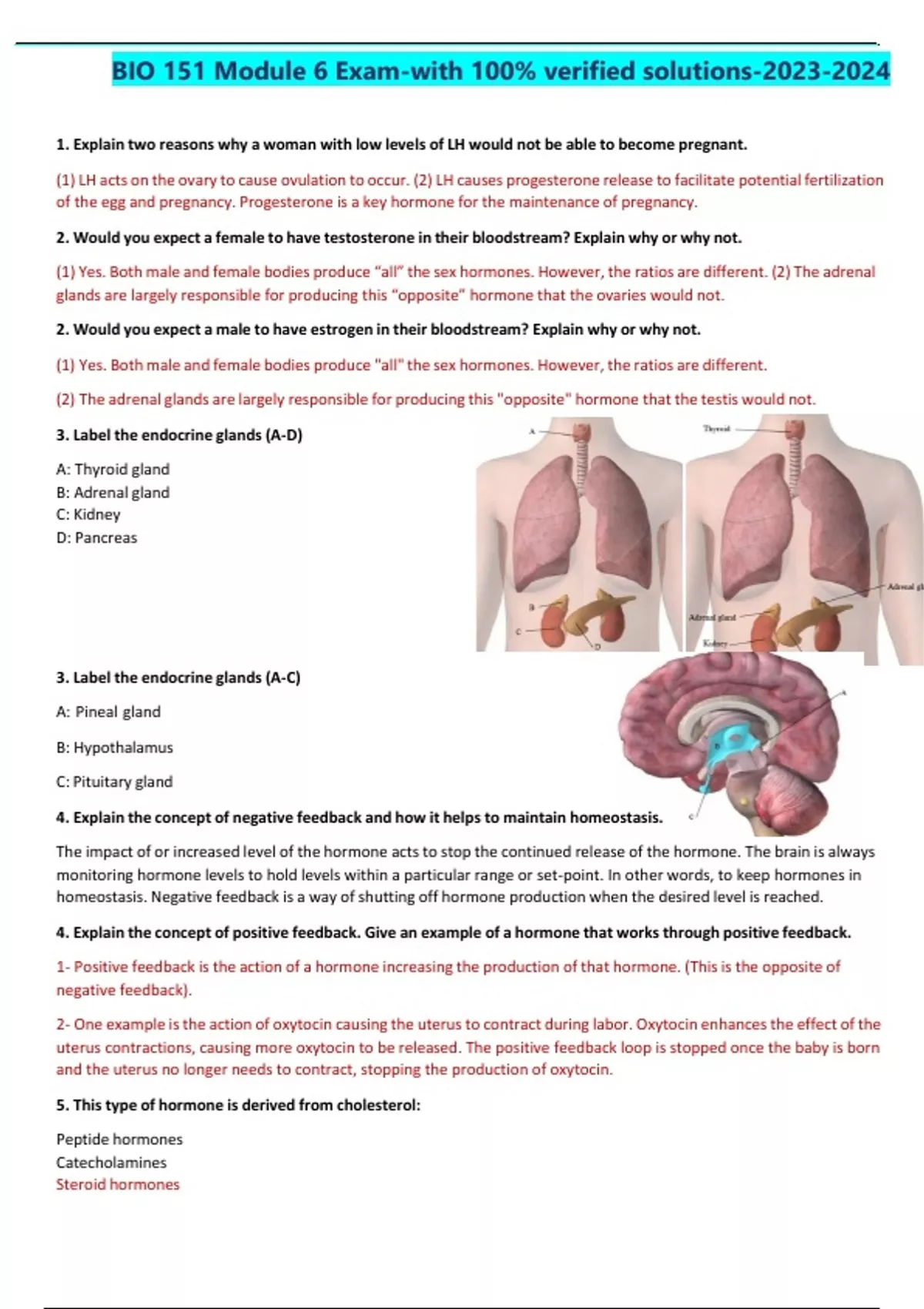 BIO 151 Module 6 Exam-with 100% verified solutions- - BIO 151 - Stuvia US