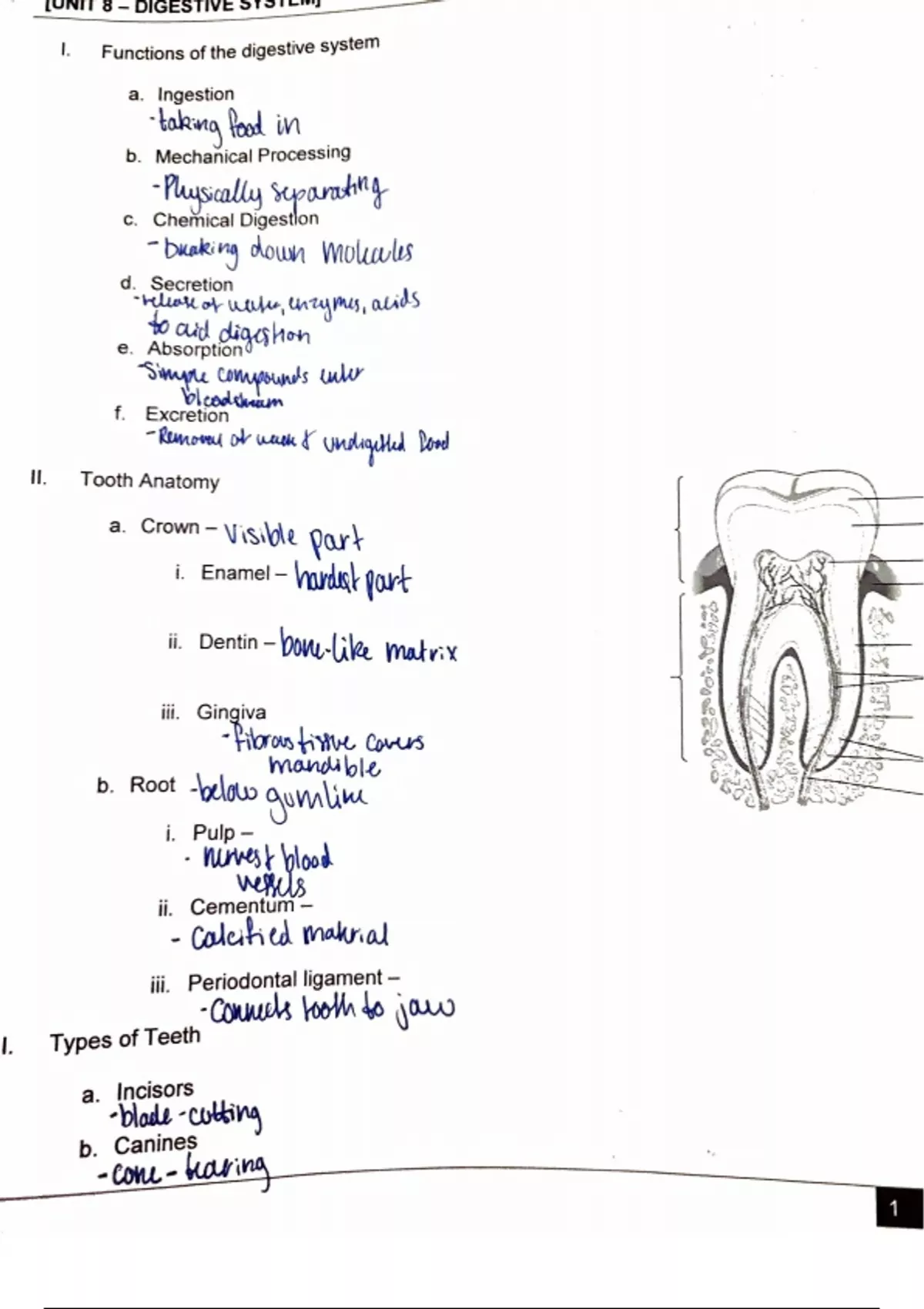 Systems of the Body - Stuvia US