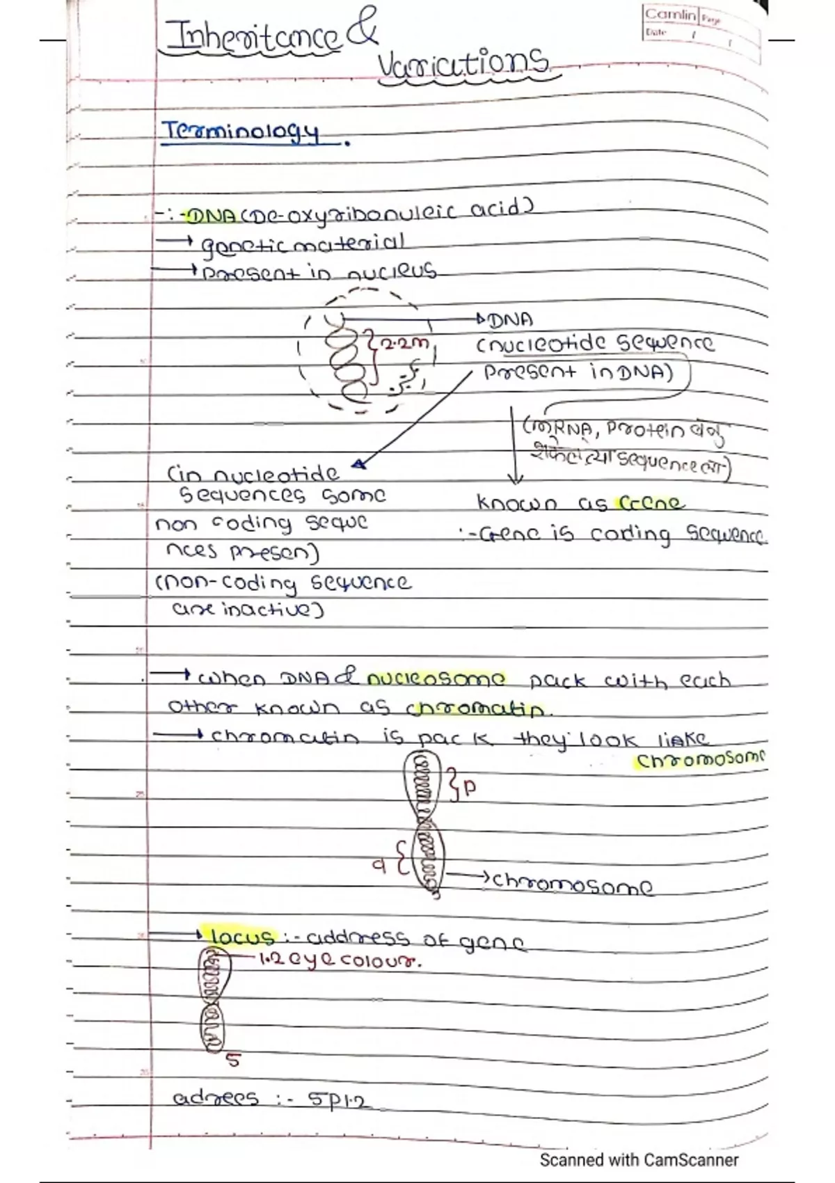 BEST NEET TOPPERS BIOLOGY HANDWRITTEN NOTES - Biology - Stuvia US