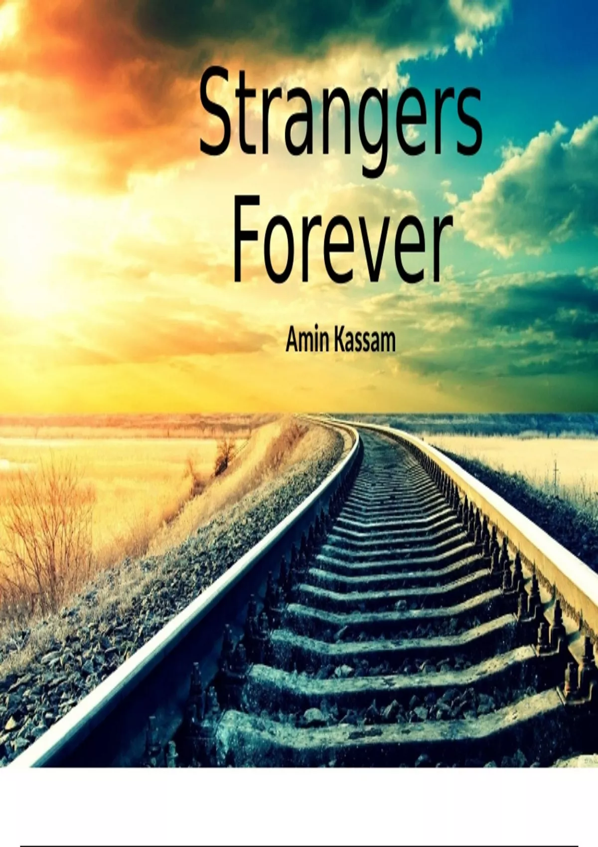 IEB prescribed poem - Strangers Forever - English Home Language - Stuvia SA