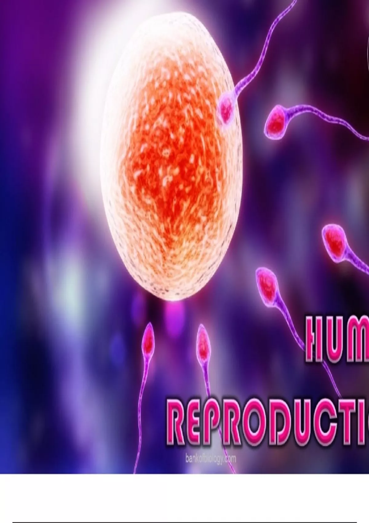 Summary Best sellers biology handwriting notes on human reproduction ...