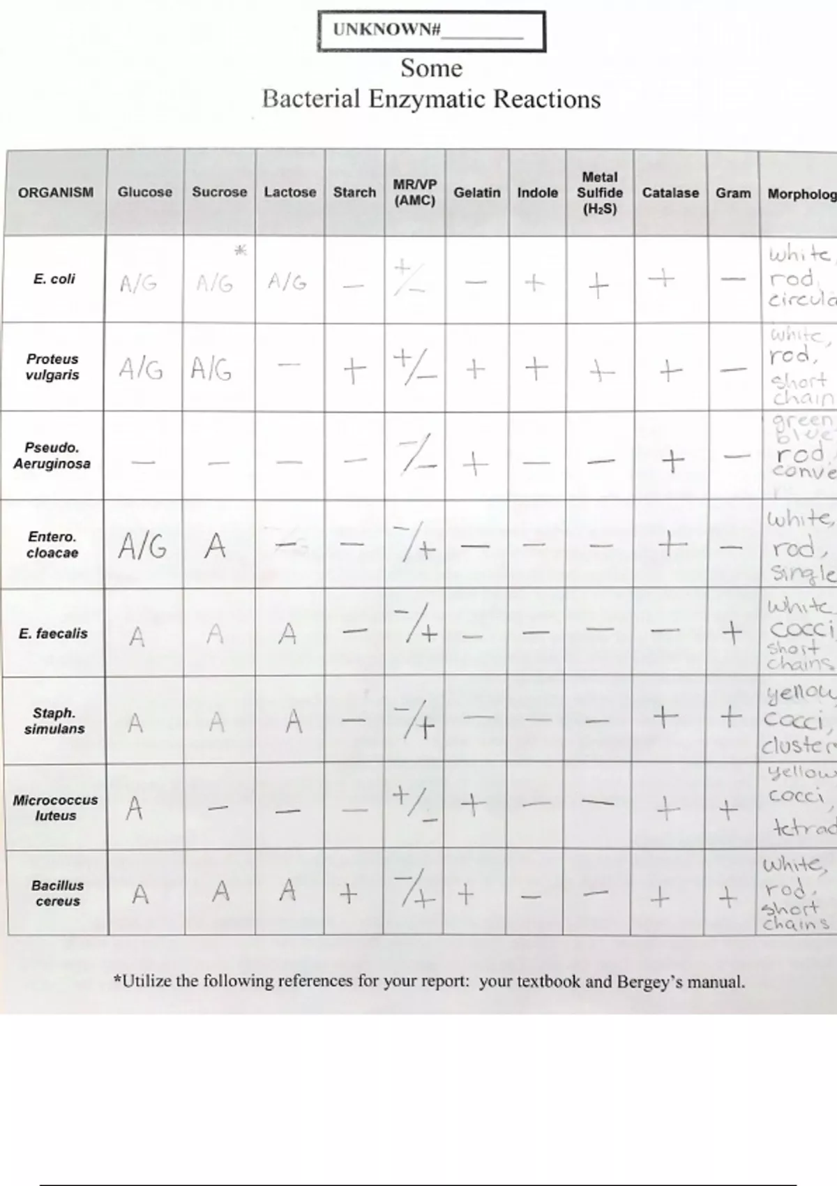 Completed Unknown Report Chart - MIC 304 - Stuvia US