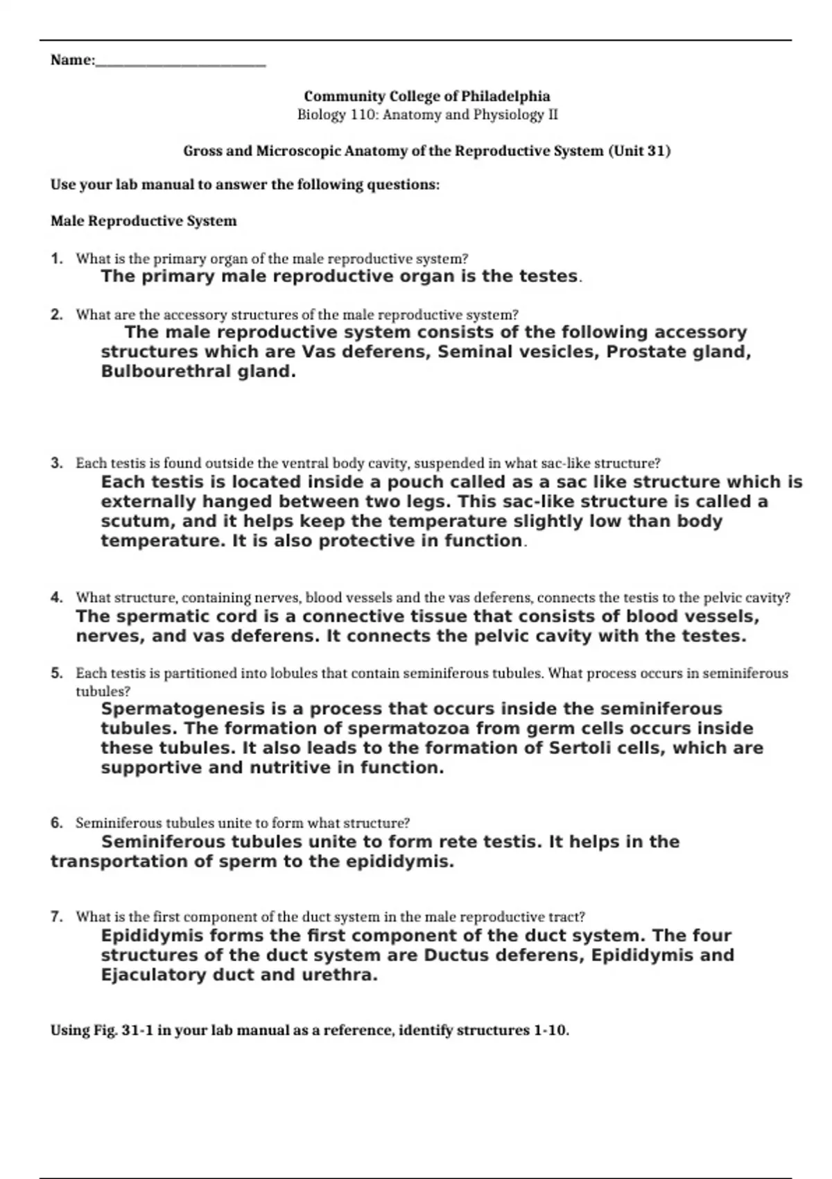 Gross and Microscopic Anatomy of the Reproductive System - Biology 110 ...