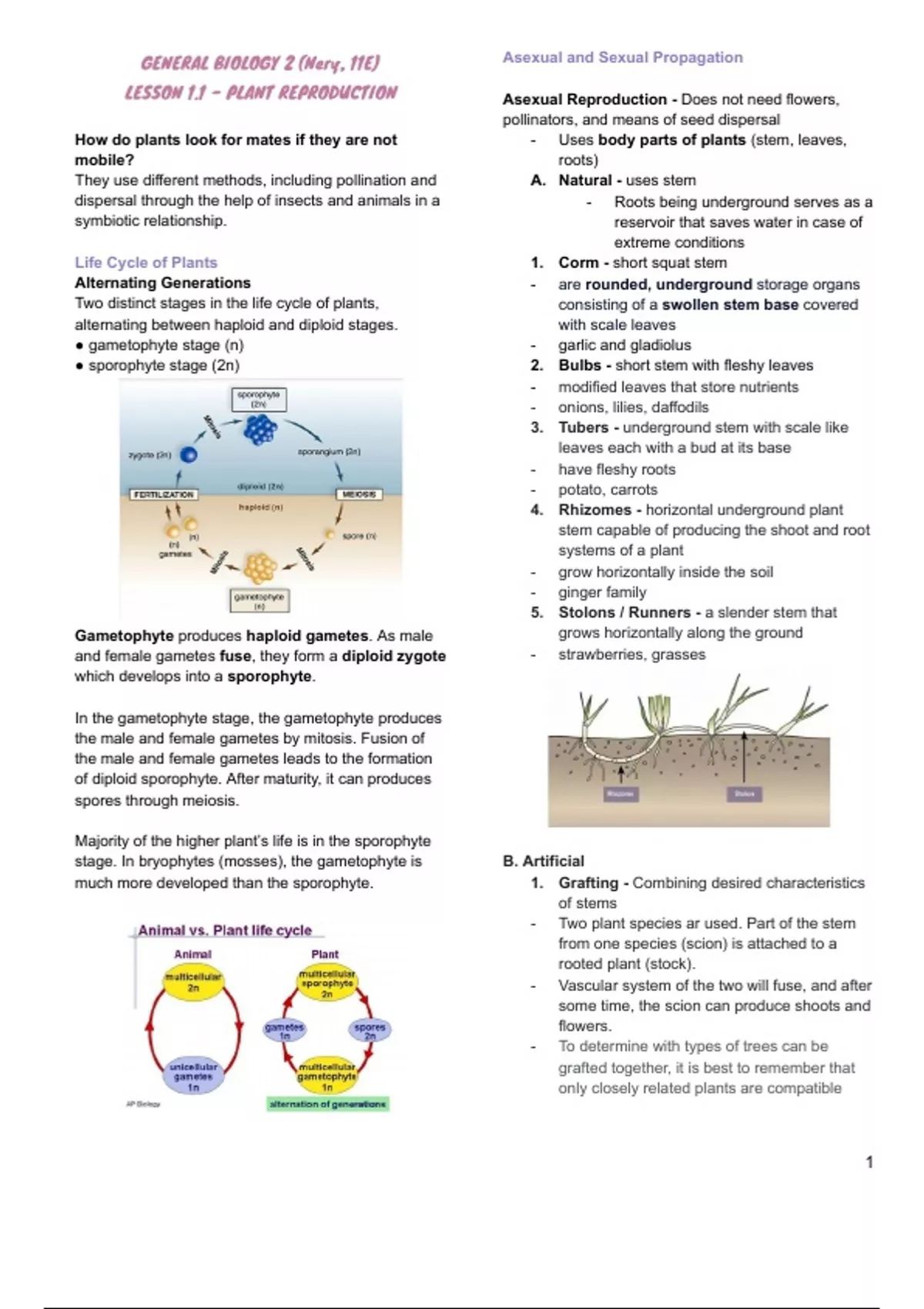 GENERAL BIOLOGY 2 - Plant and Animal Reproduction, Nutrition, Gas ...