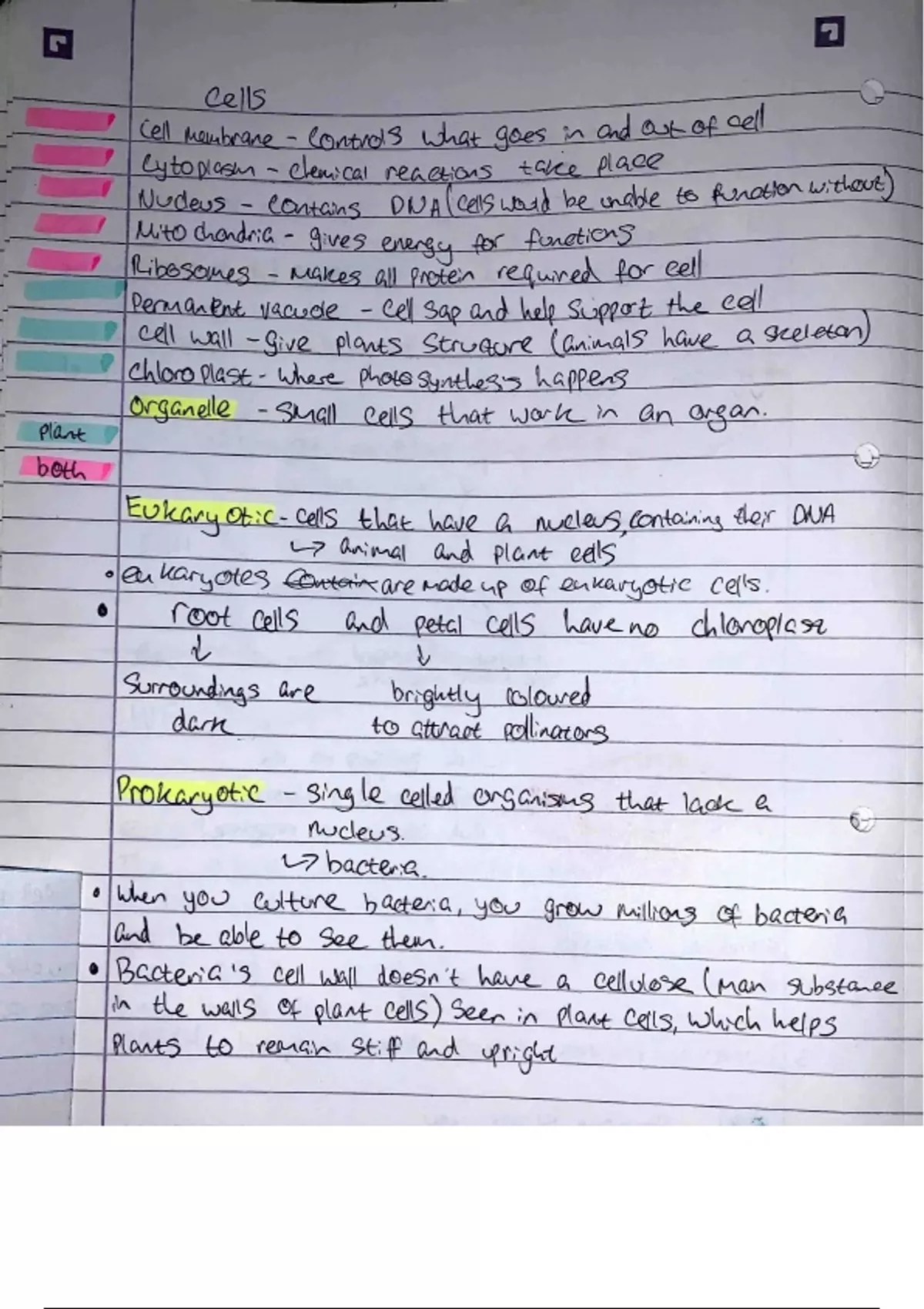 Summary GCSE Combined Science Biology - cell structure and microscopy ...